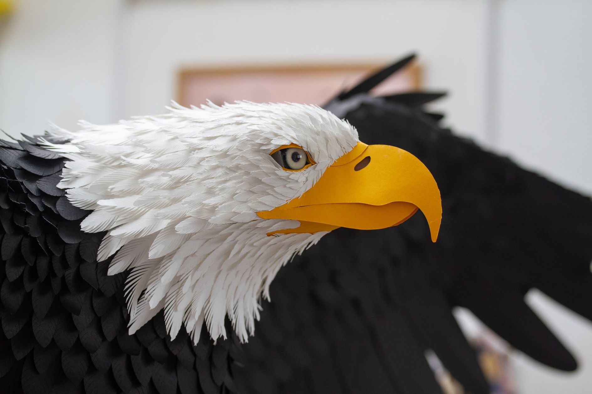 A giant bald eagle made entirely of paper is Lisa Lloyd's biggest ...