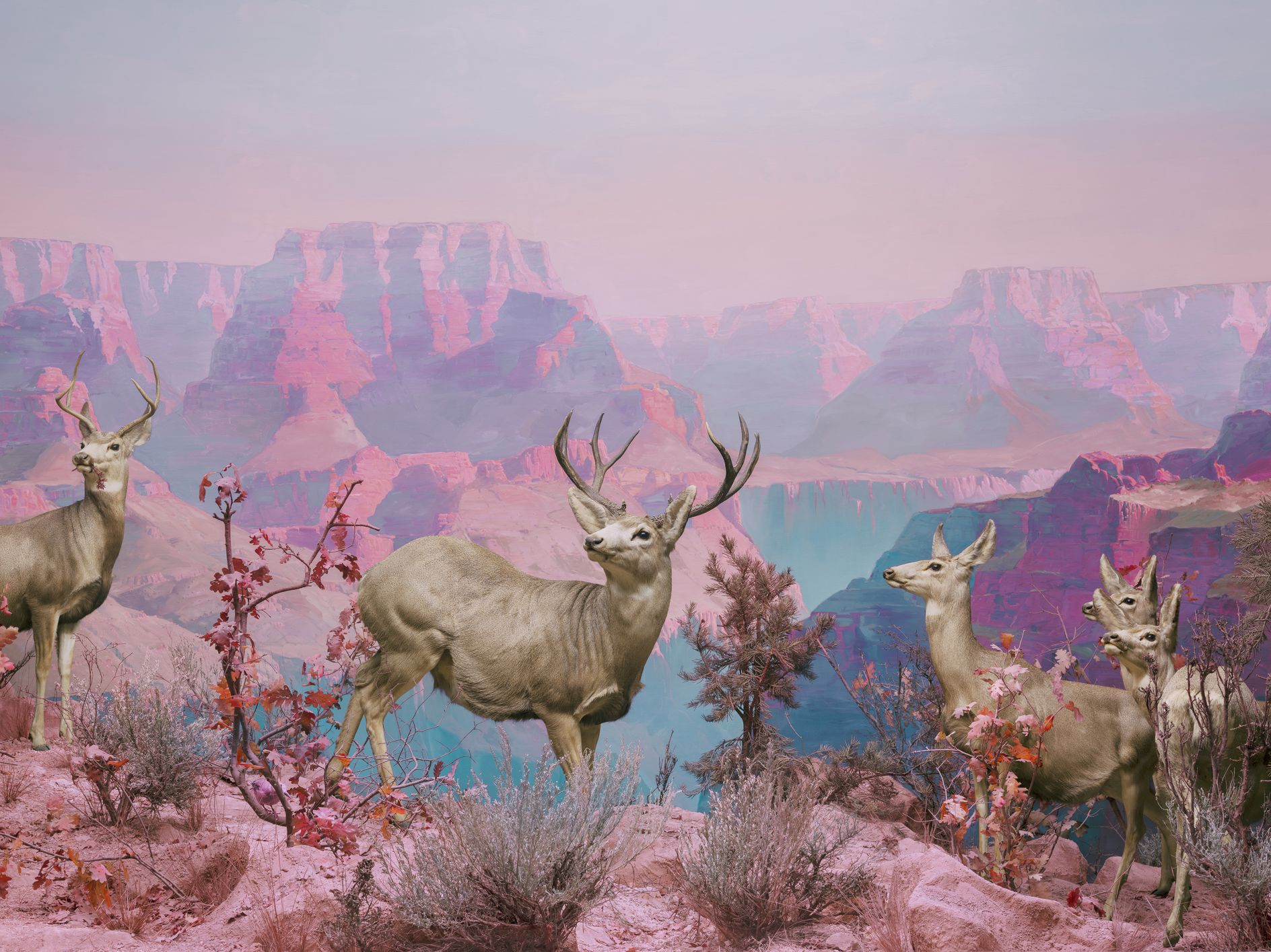 Jim Naughten's surreal 'digital paintings' highlight the perilous state ...