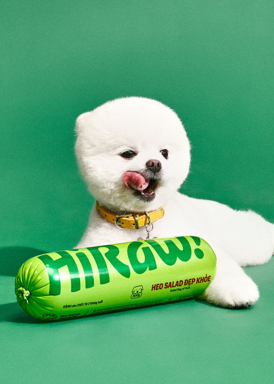 Raw pet food brand HiRaw's new identity takes a playful approach ...