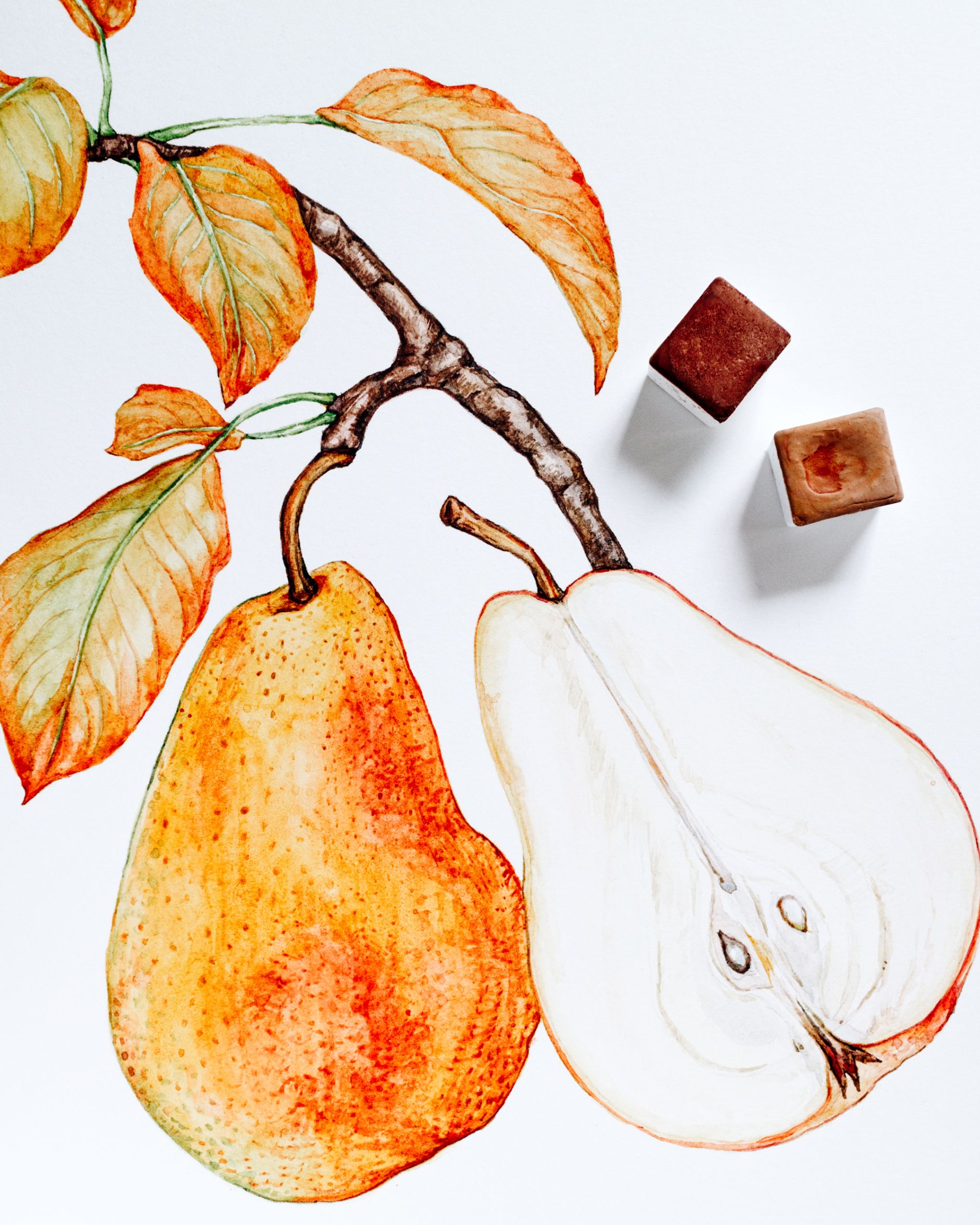 Deliciously Drawn: Five food illustrators who'll make you hungry ...
