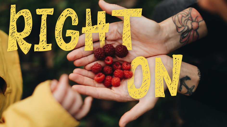 Know your audience: what Gen Alpha's food habits tell us about this ...