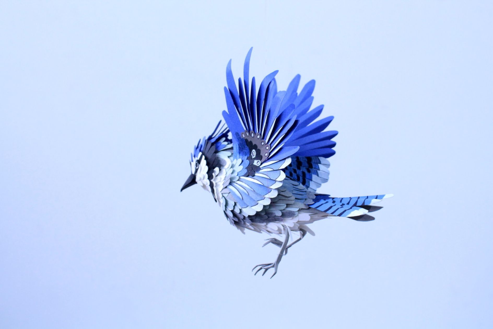 Paper Birds: Delicate feathered friends crafted entirely from coloured ...