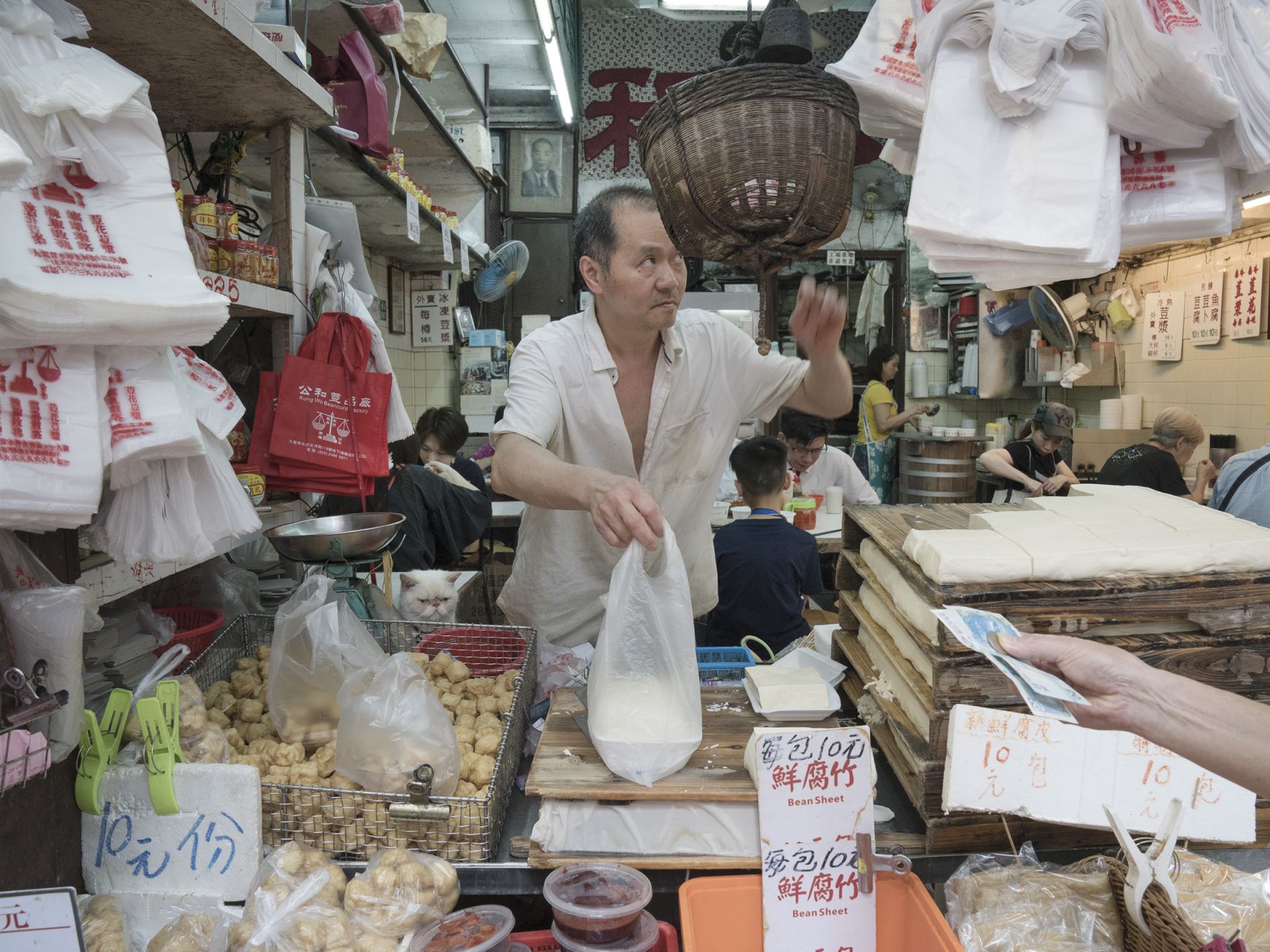 Photographer reveals the secret lives of Hong Kong's market cats in ...