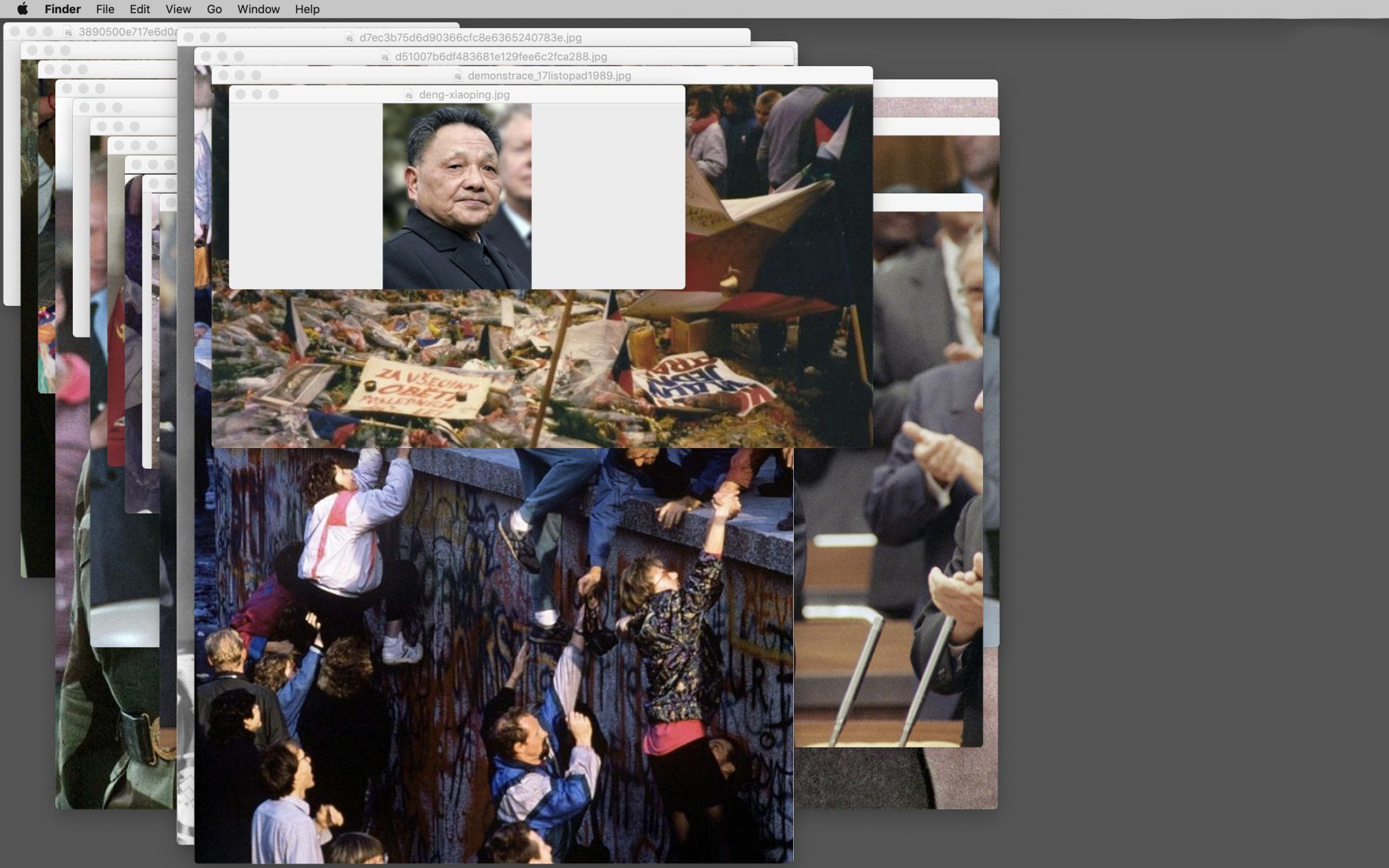 Rage Collective explores the power of memes and social media for ...