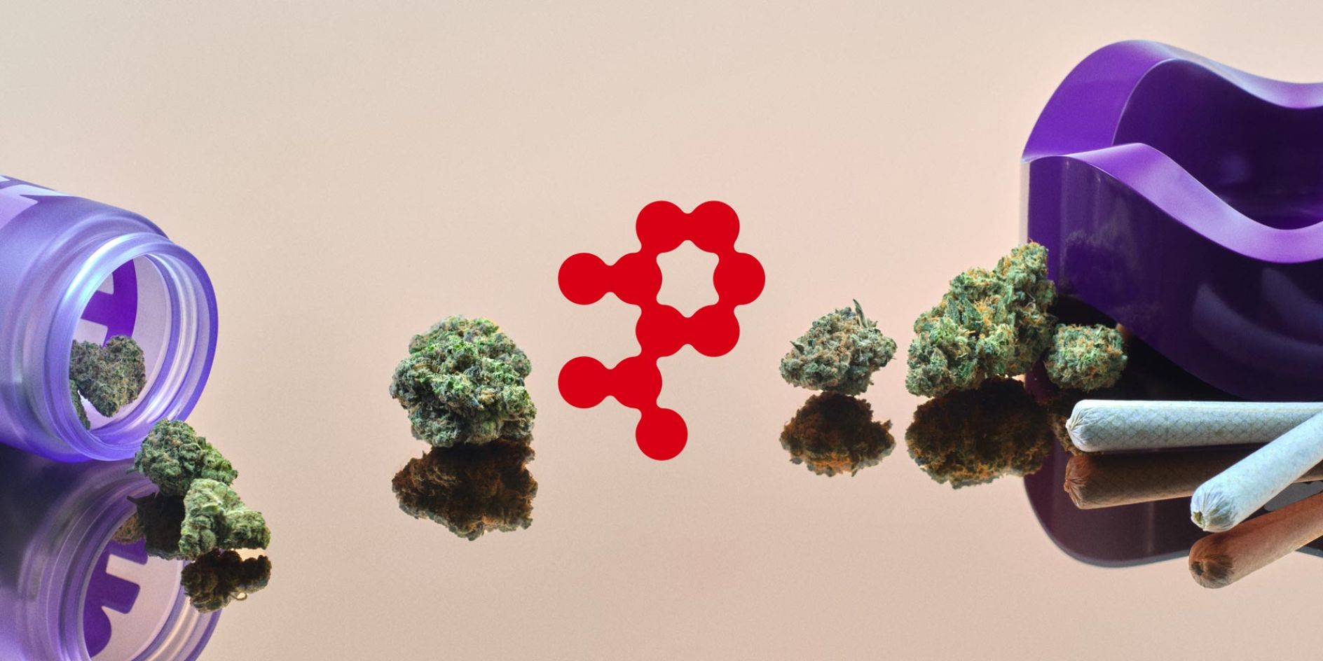 Rolling with intention: How Super Okay is turning THC Design into the ...