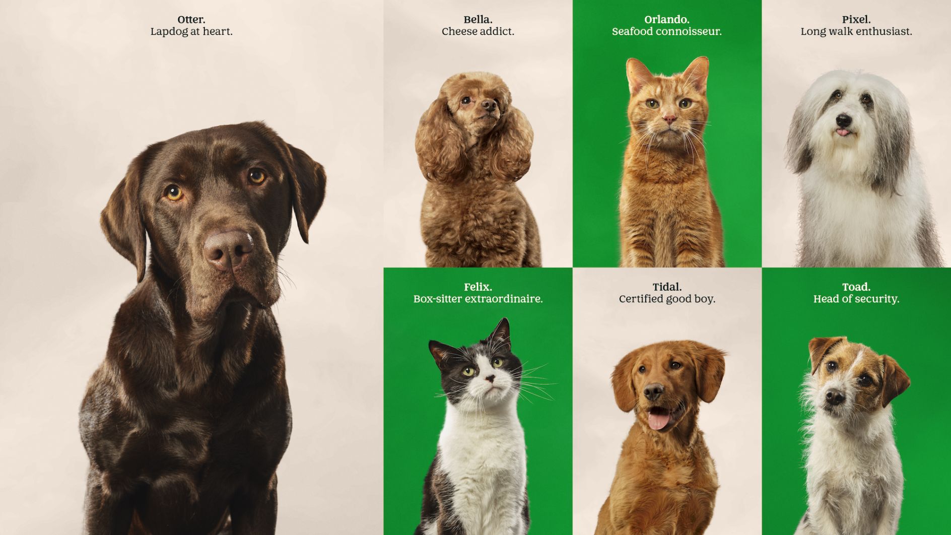 Nomad rebrands UK pet care giant Pets at Home | Creative Boom