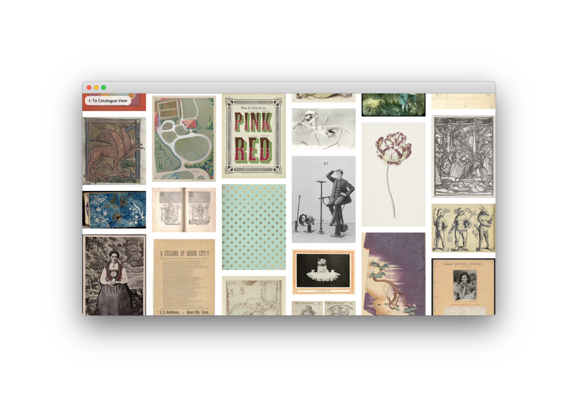 The Public Domain Image Archive: A treasure trove of free-to-use ...