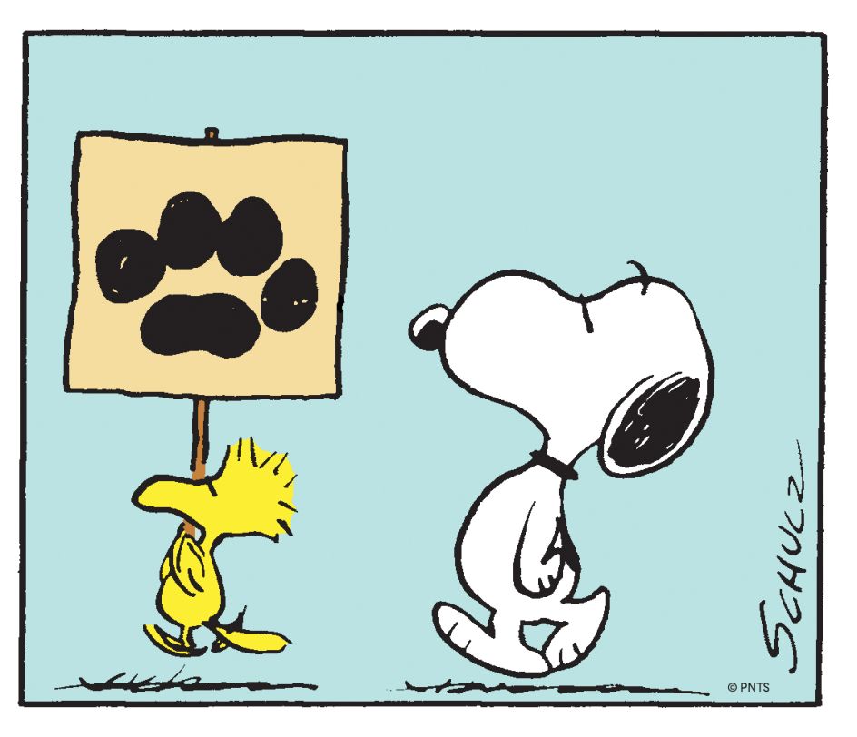 Good Grief, Charlie Brown: a cultural celebration of the world’s most ...