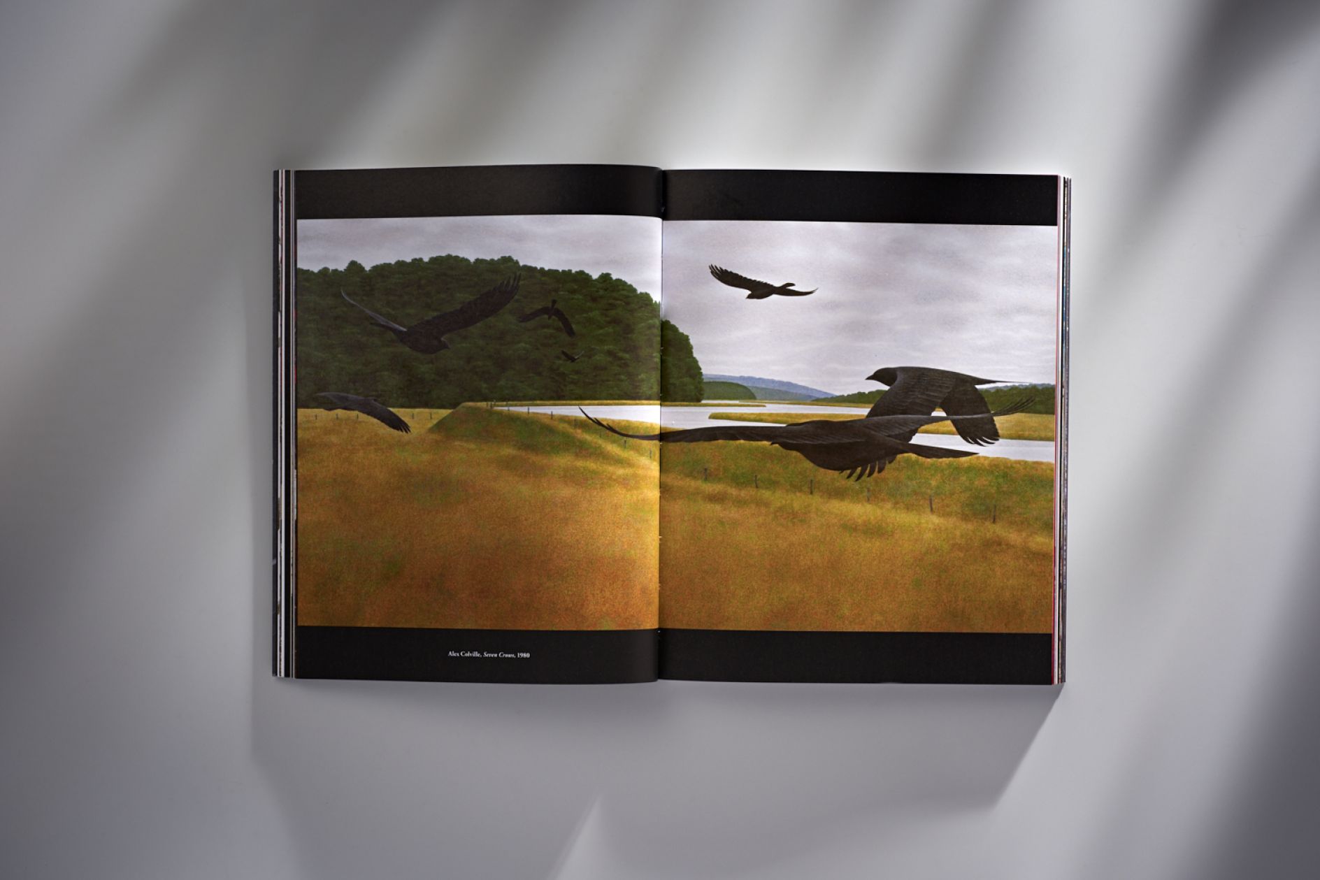 The Ravens: A charming book that takes a creative look at the 'multi ...