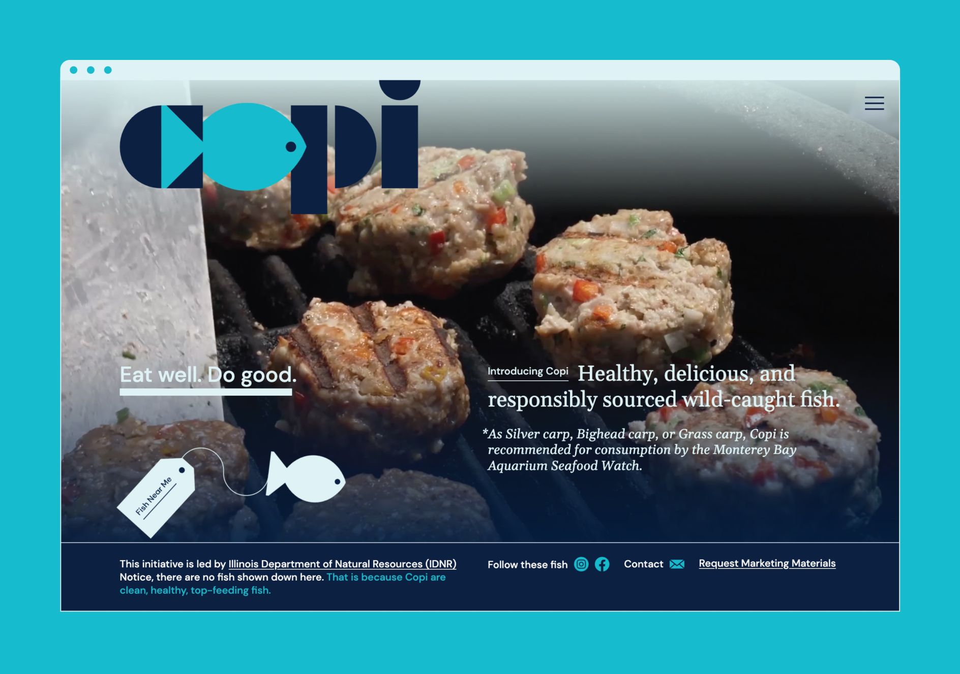 Chicago studio Span rebrands Asian carp as 'Copi' to help US ...