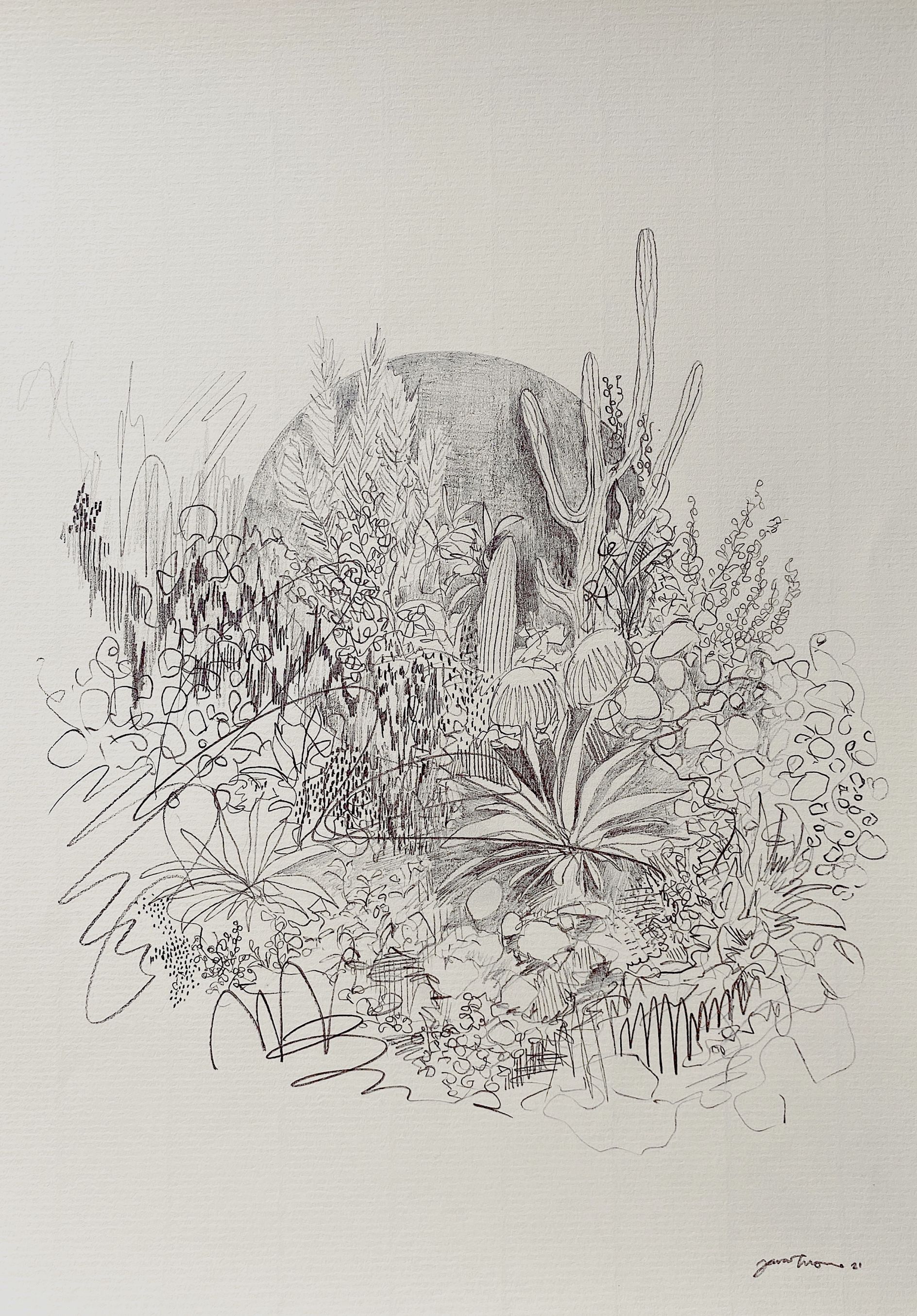 Zara Tisma turns to greenhouses and gardens for her latest series of ...