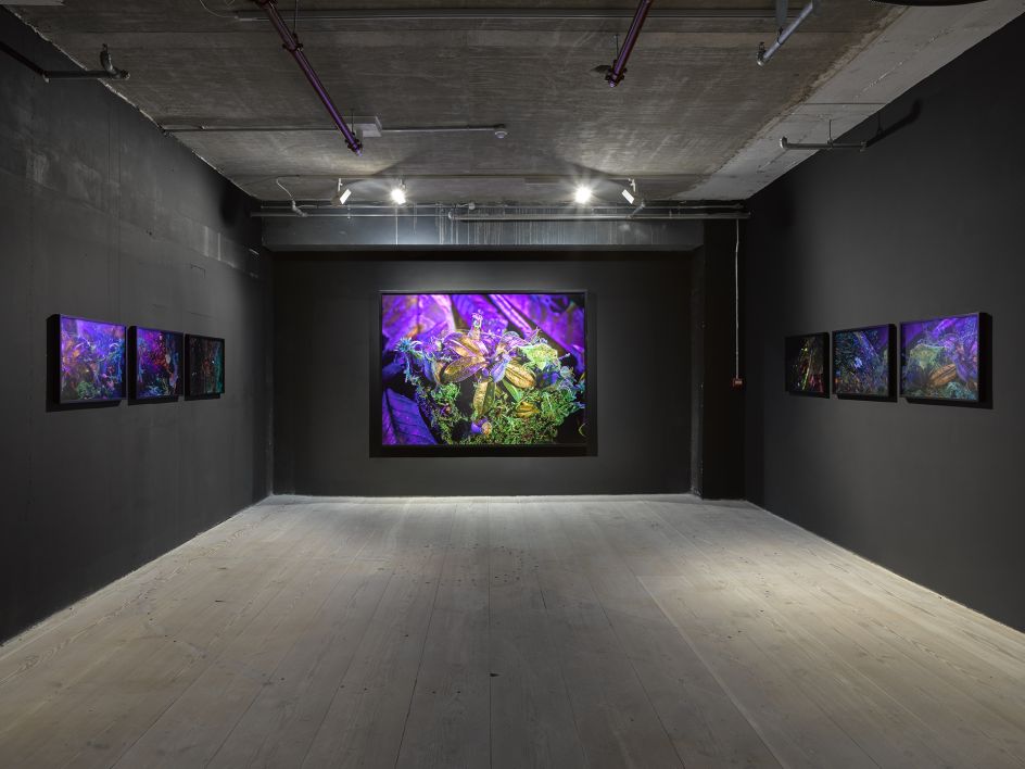 Richard Mosse captures the deforestation of the Amazon from the air ...