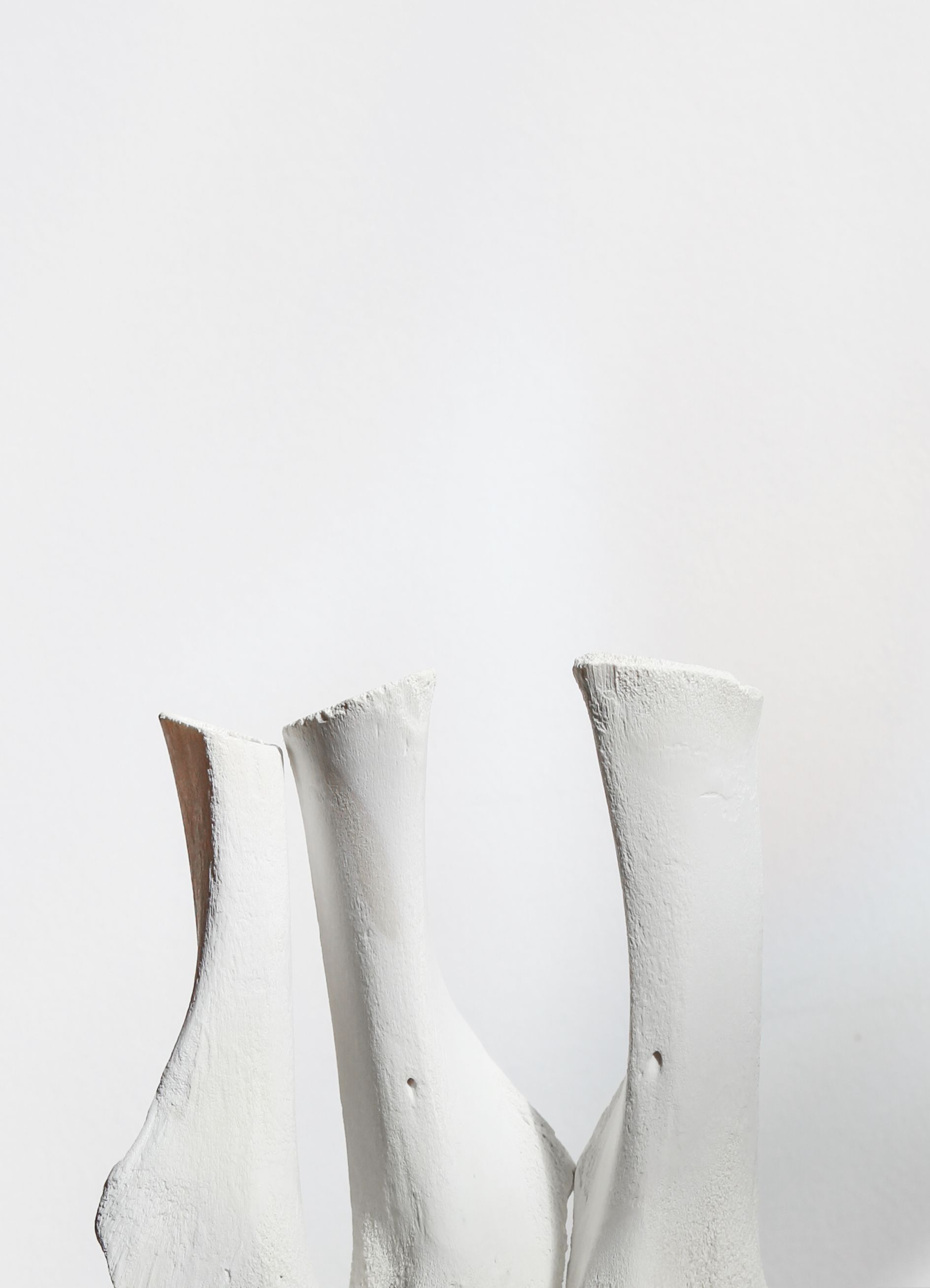 Artist Emma Witter breathes new life into bones to create intricate ...