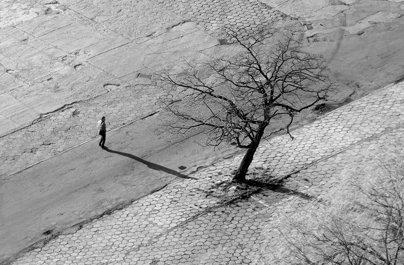 Moments of solitude in vast open spaces captured in beautiful ...