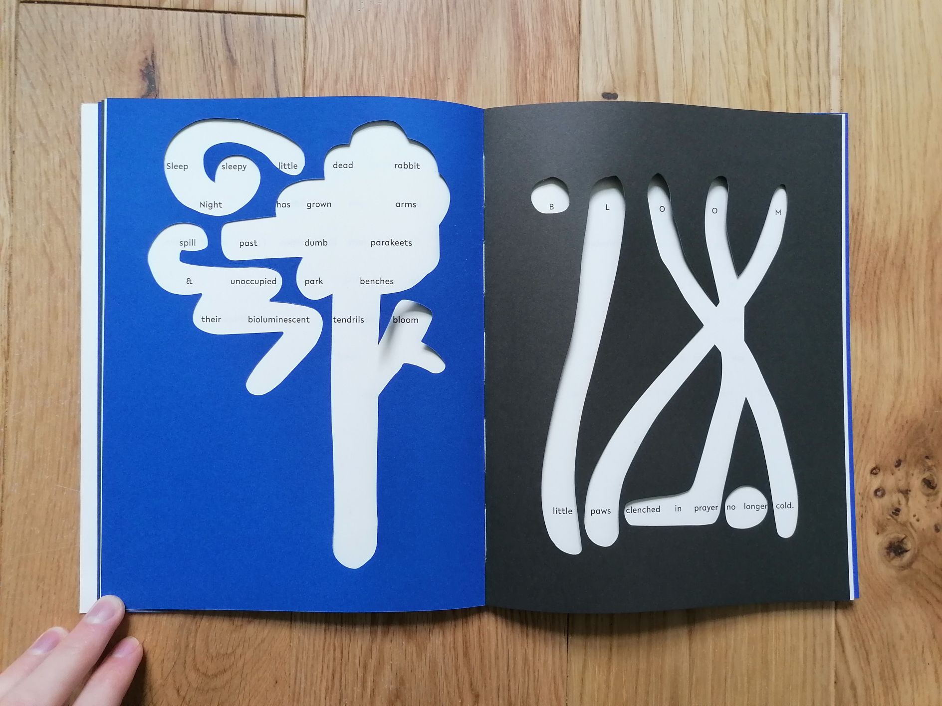 Little Dead Rabbit: playful poetry book finds new ways to balance text ...