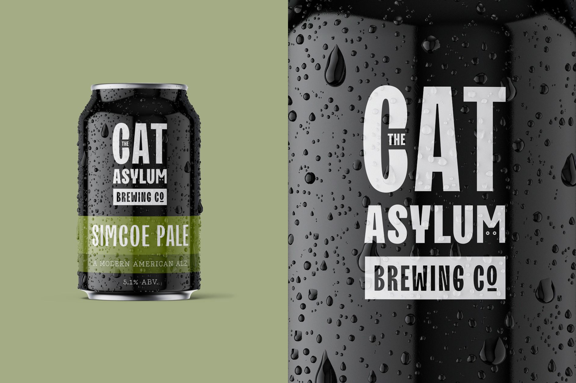 Make Future's clever identity and packaging for The Cat Asylum ...