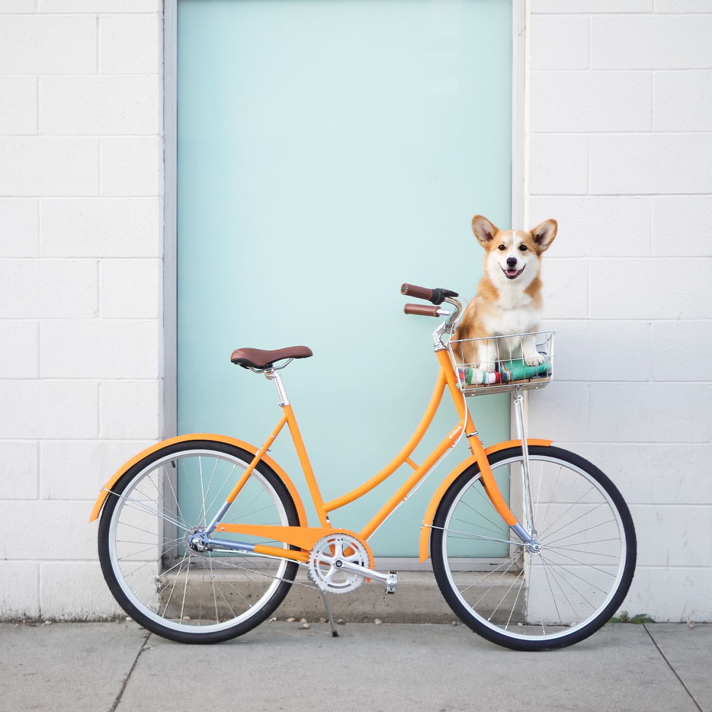 Adobe Create | Creative Boom