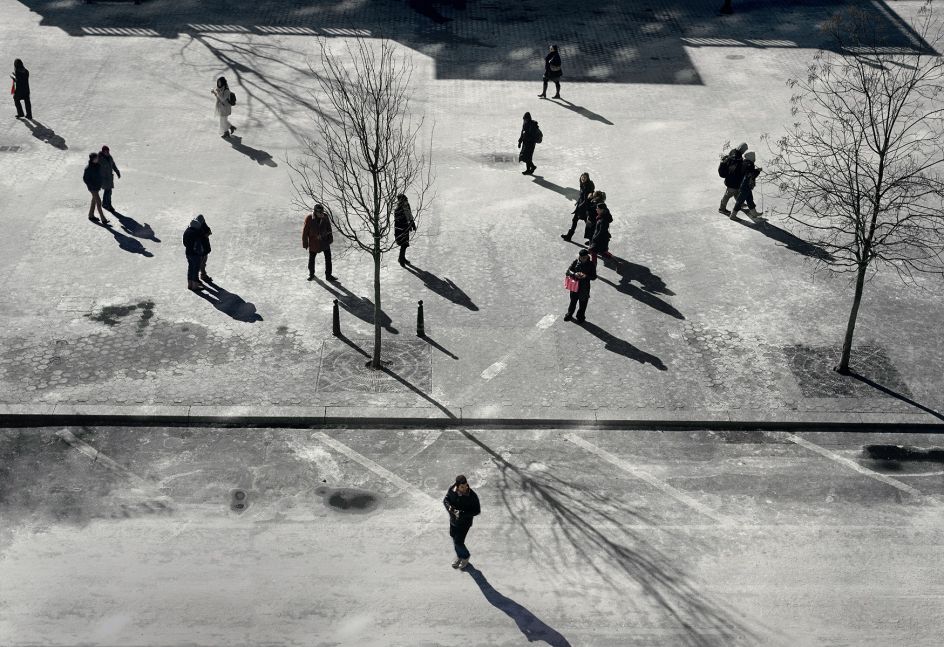 Elizabeth Bick wins Norton Museum of Art's 2016 Rudin Prize for ...