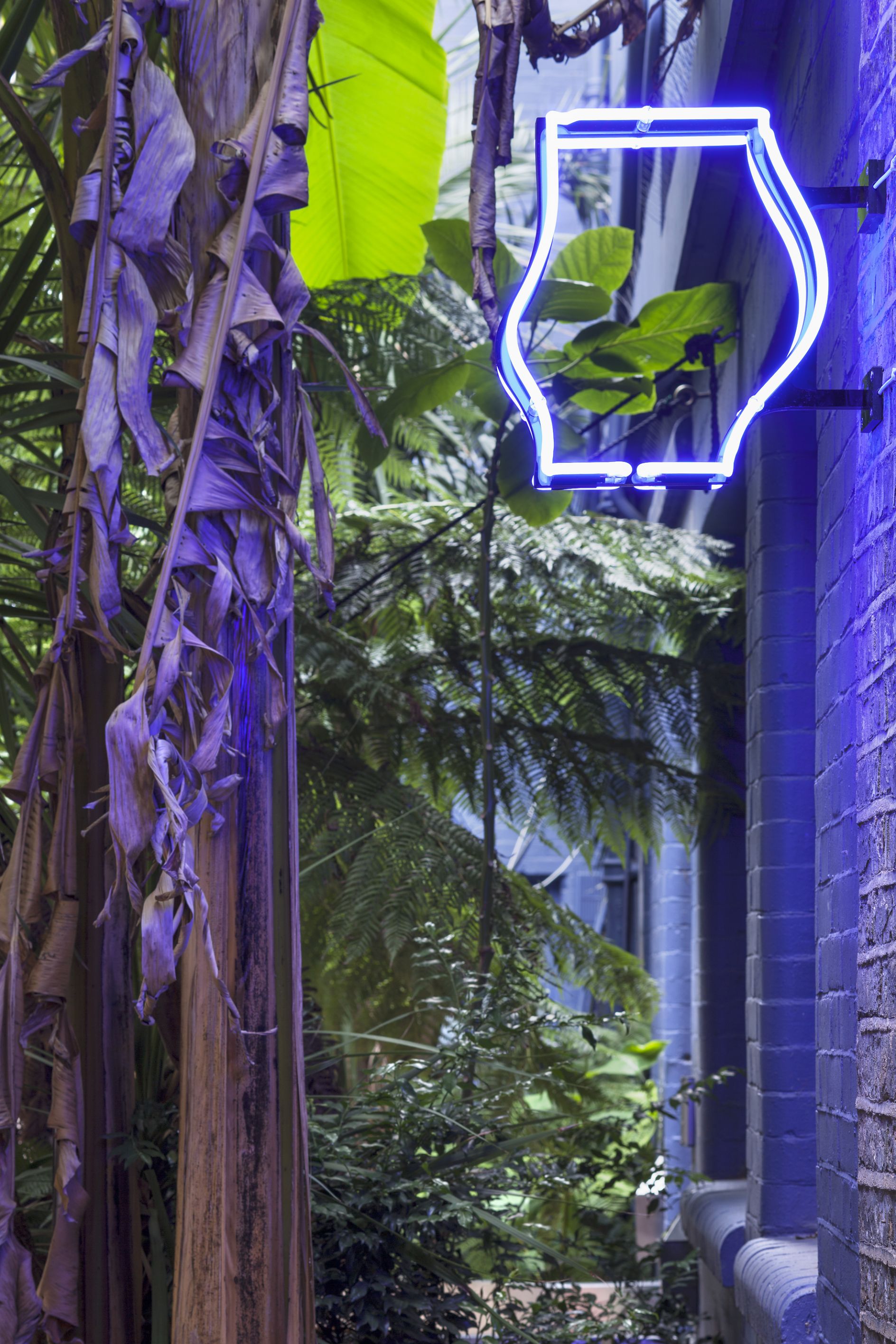 NEON: The Charged Line celebrates the most internationally renowned ...