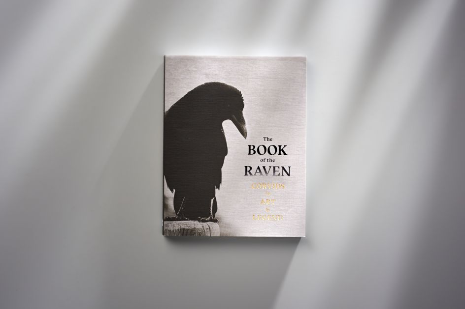 The Ravens: A charming book that takes a creative look at the 'multi ...
