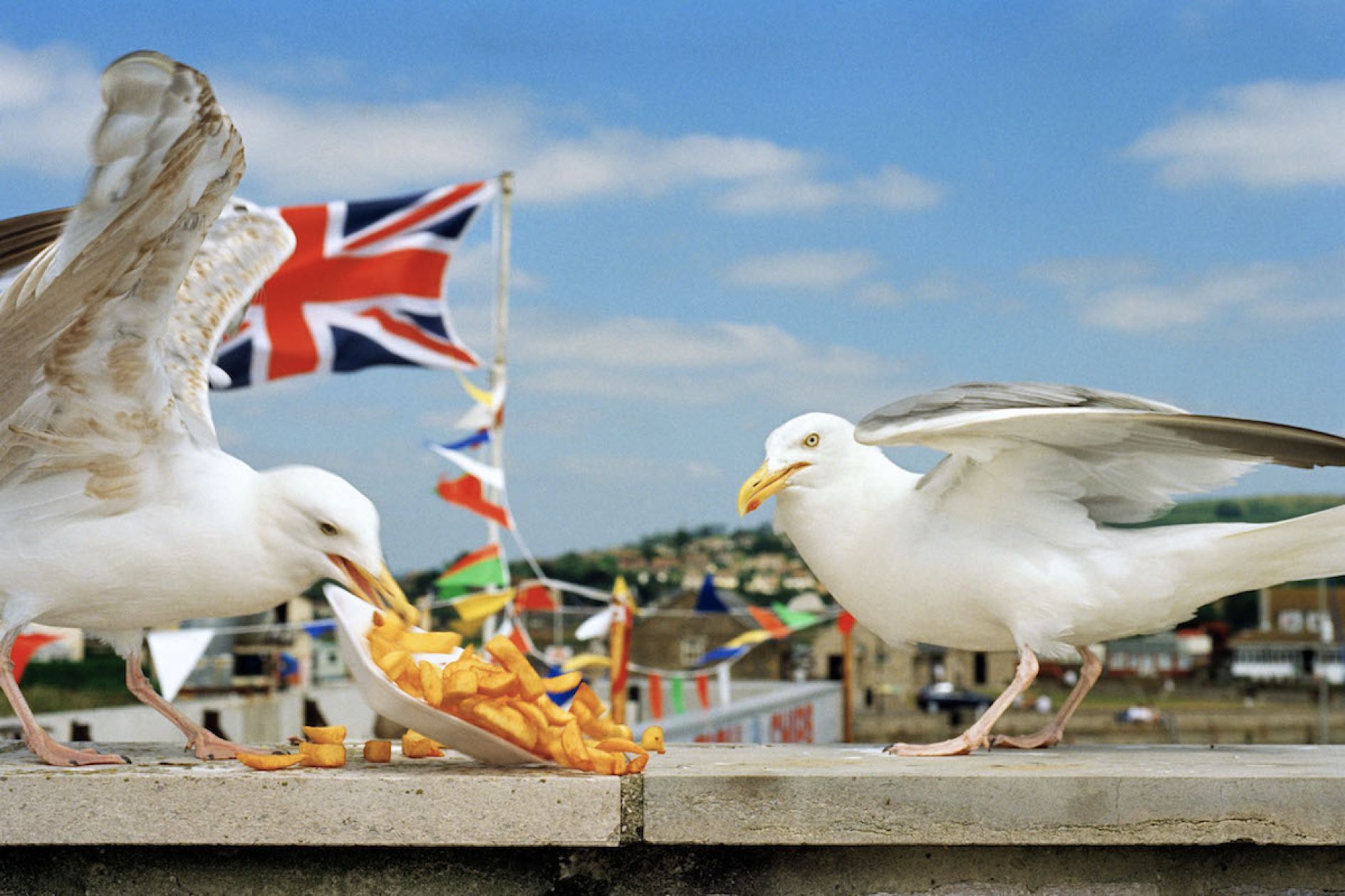 The Great British Seaside: beach photography from the 1960s to the ...