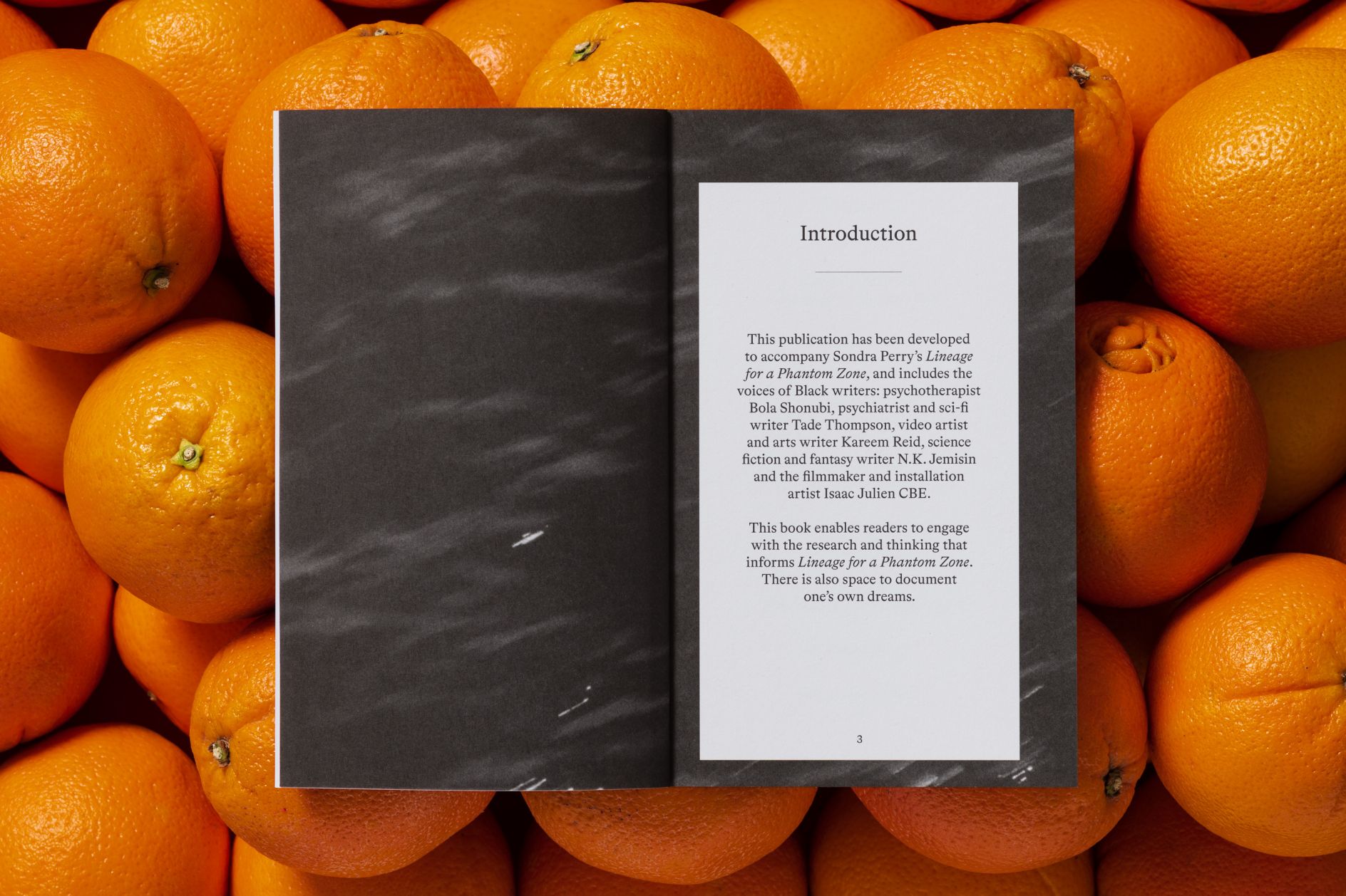 Sondra Perry art book explores dreams, memory and identity in a ...