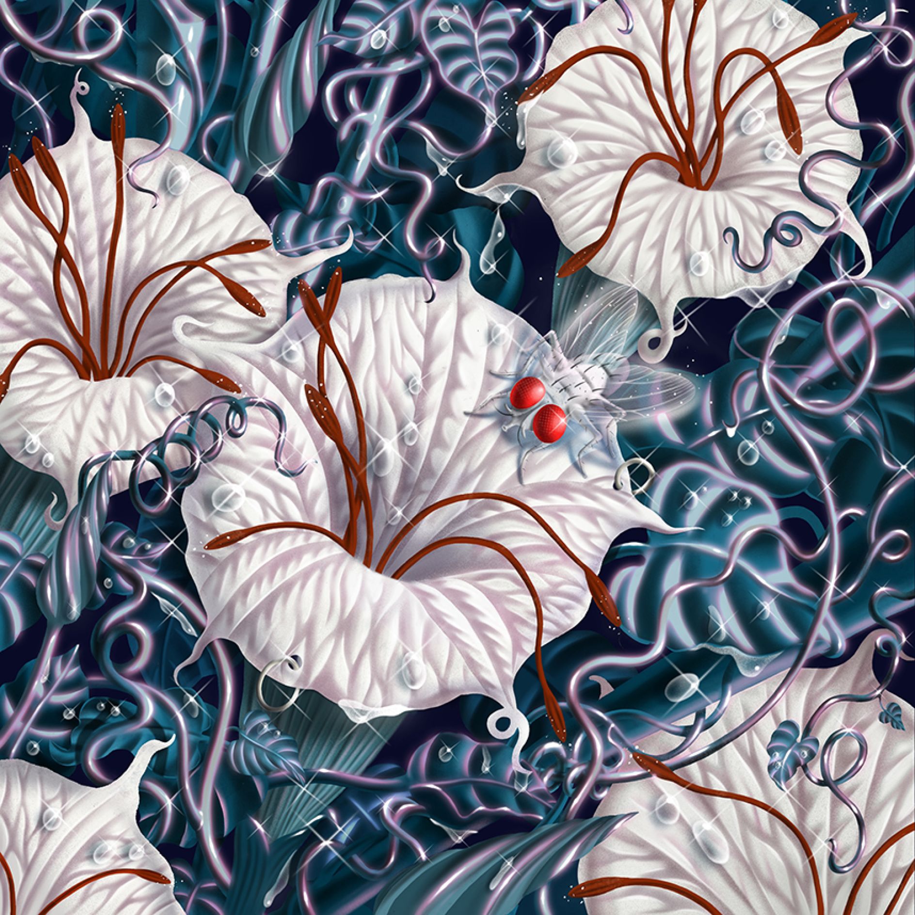 Fangyu Ma encourages a new way of seeing in her eye-catching still life ...