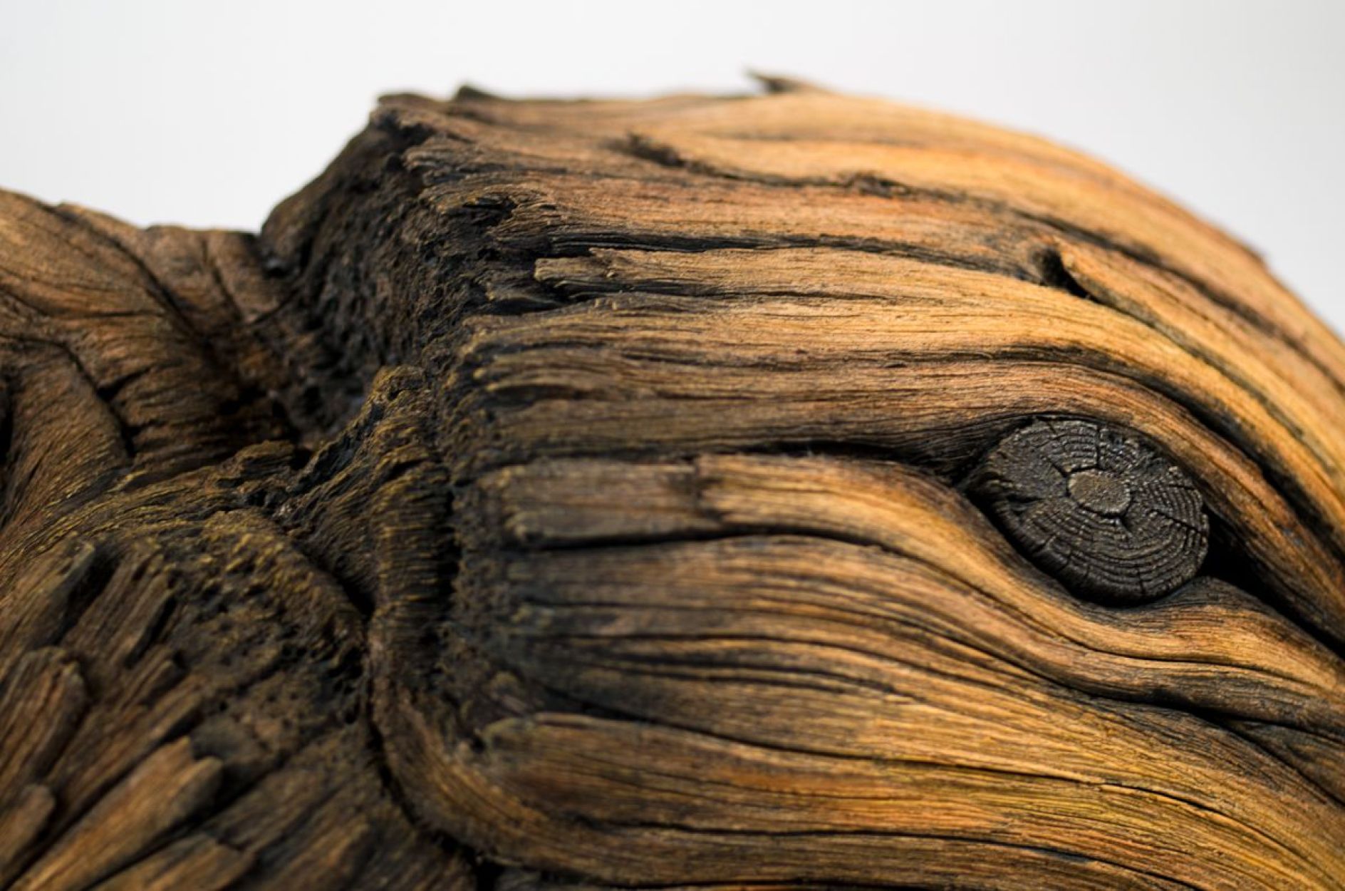 Sculptures that you'd mistake for wood are actually crafted from clay ...