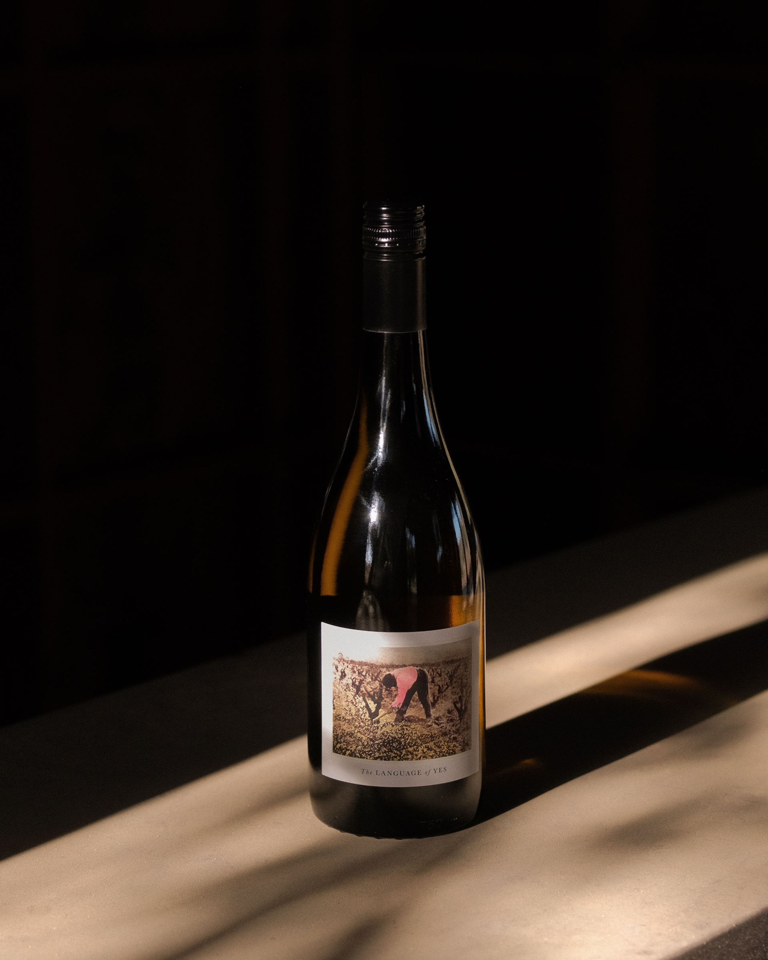 Public Address designs identity for new wine brand The Language of Yes ...