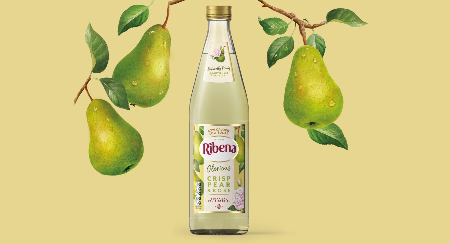 Seymourpowell creates new designs for iconic squash brand Ribena ...