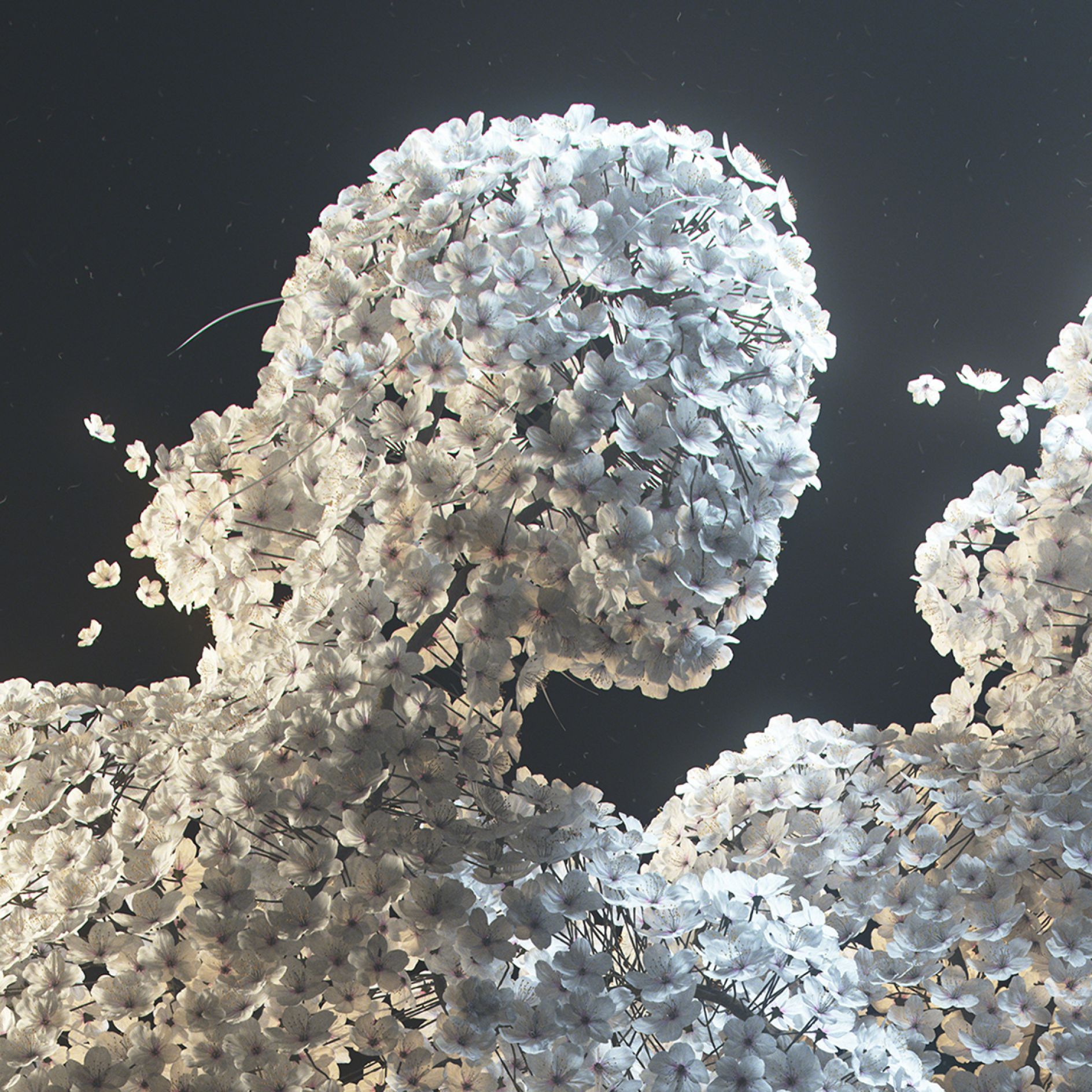 Flower Figures: Artist digitally crafts sculptures of women from a ...