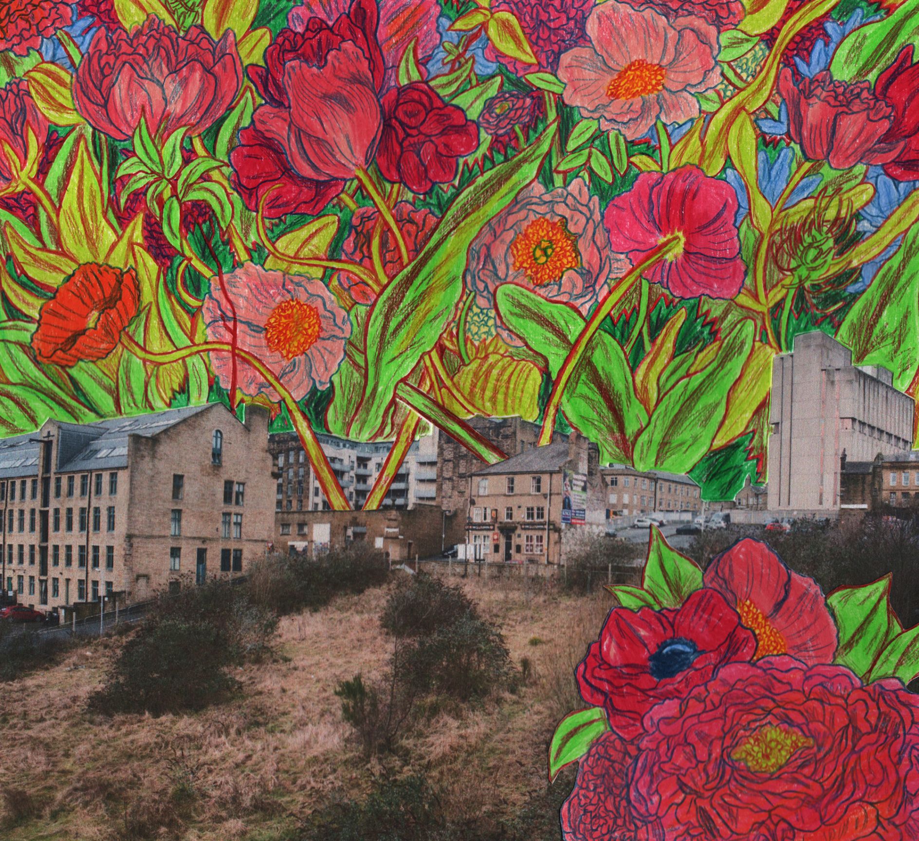 Hannah Lock draws hard with pencils and pastels to create vibrant ...
