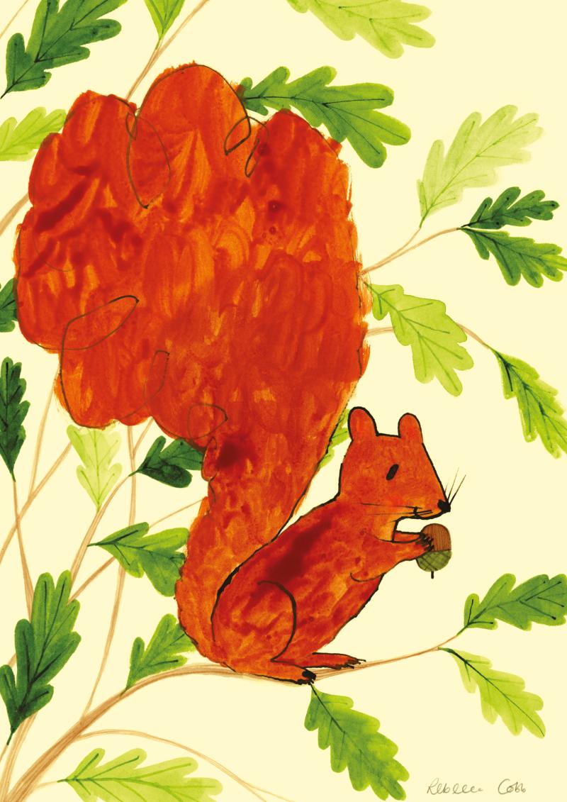 Top children's illustrators join nature-themed charity exhibition ...