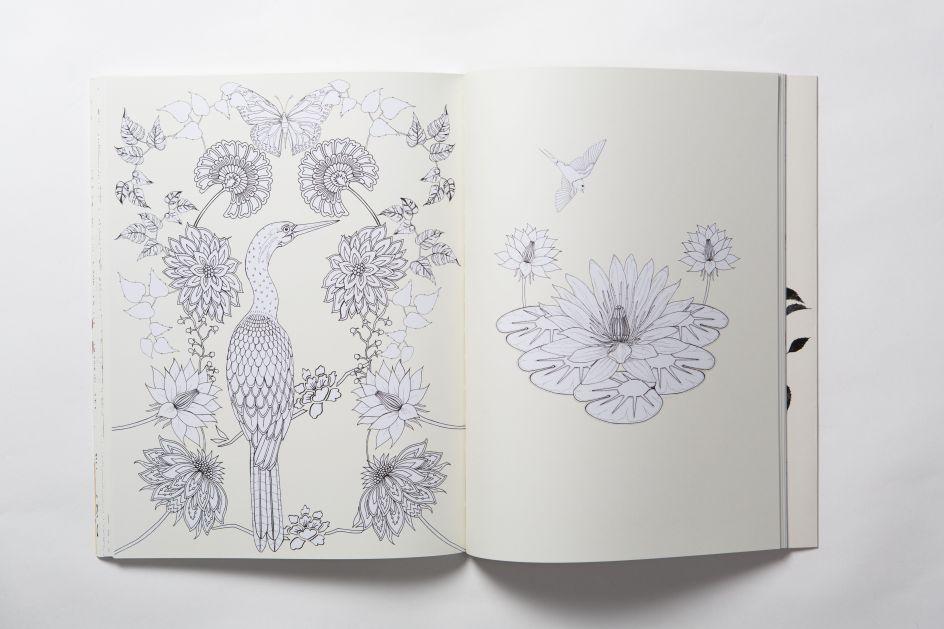 Birdtopia: A beautifully illustrated colouring book by the talented ...