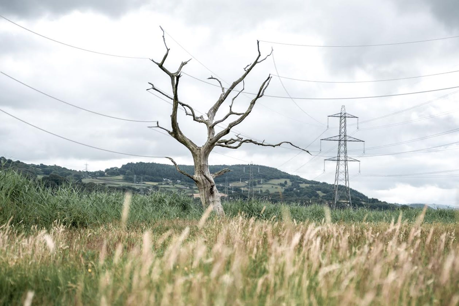 Deliberately ridiculous and surreal images by conceptual photographer ...