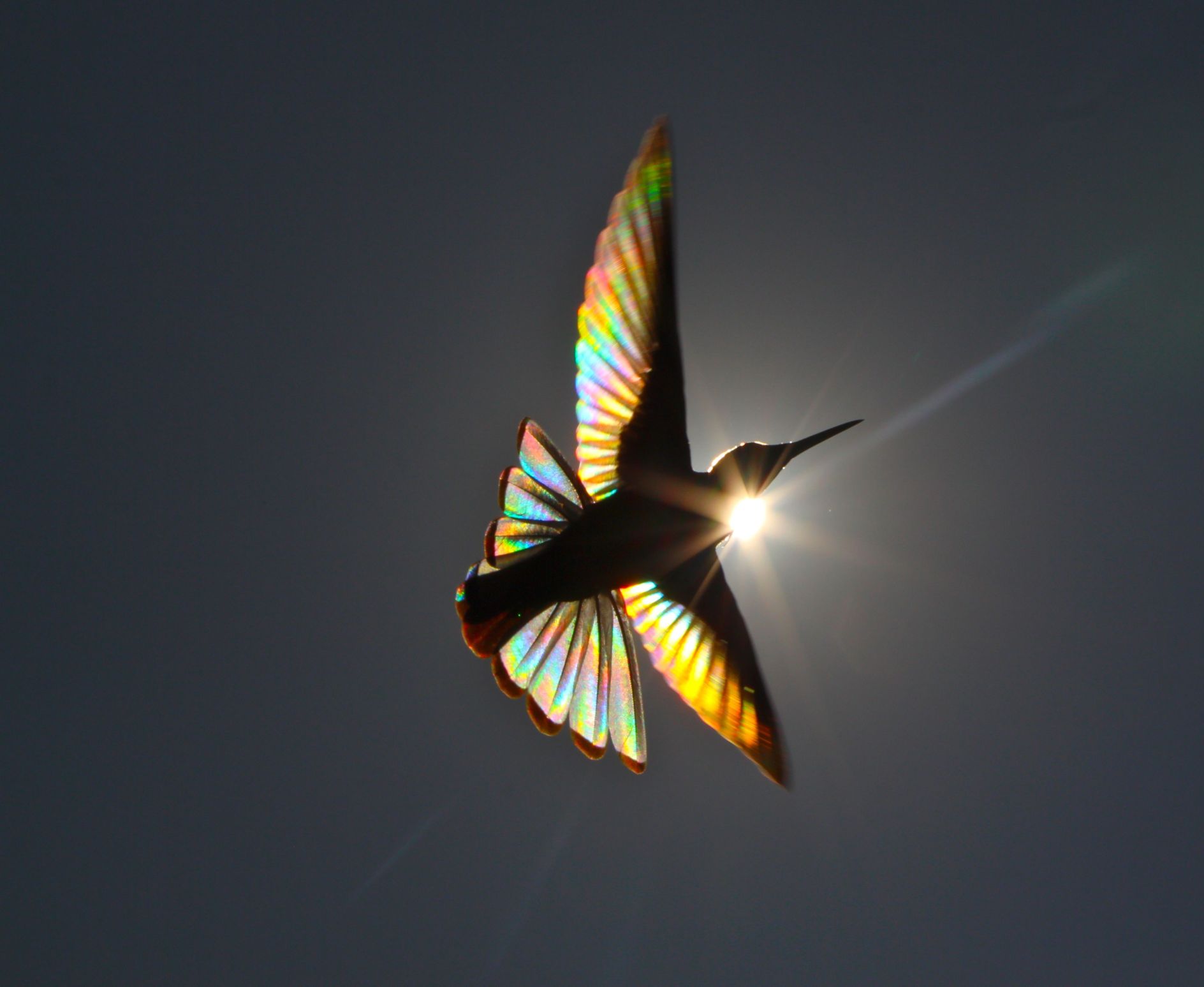 Photographs that capture the rainbow prism-effect of sunlight passing ...