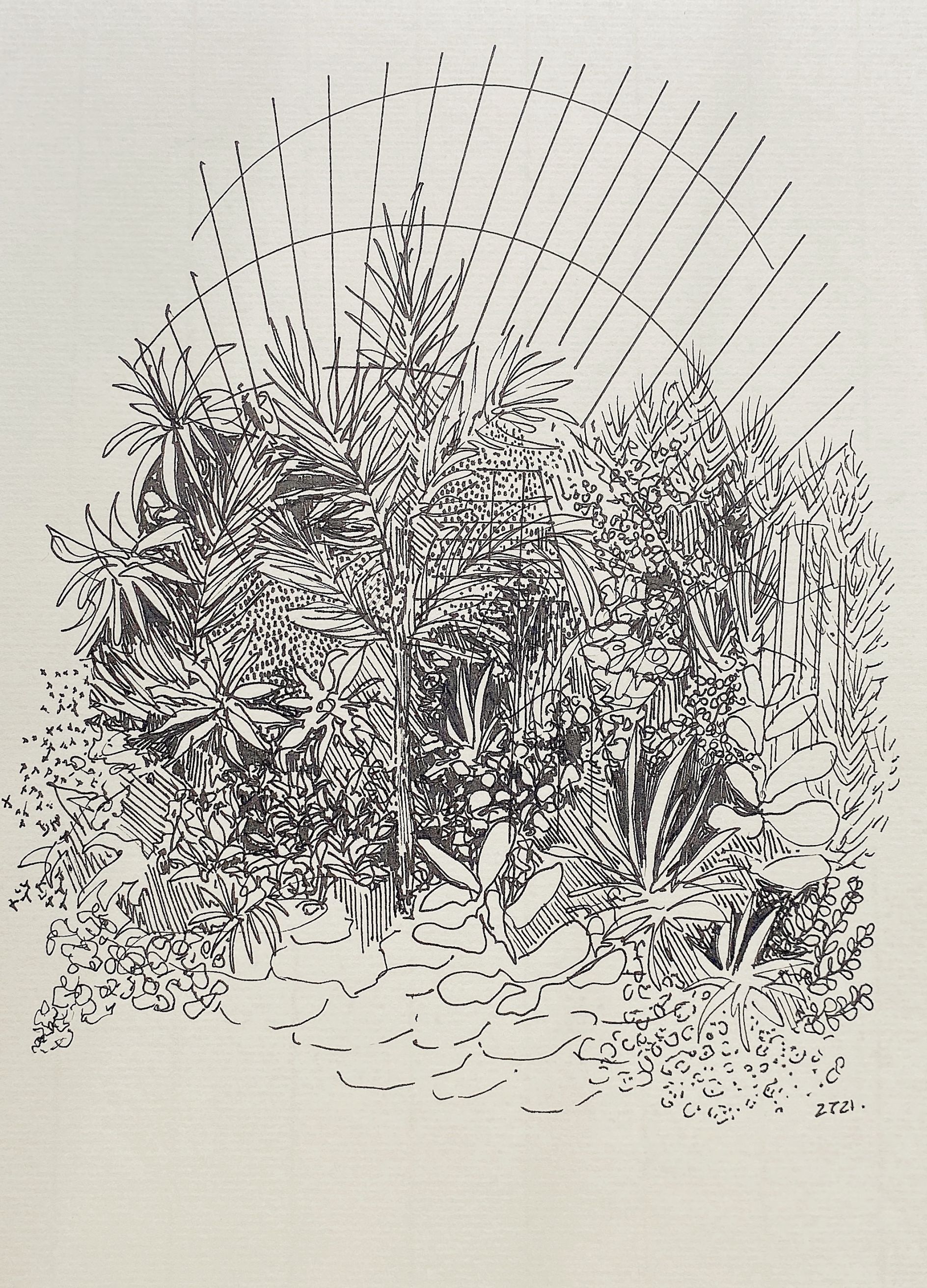 Zara Tisma turns to greenhouses and gardens for her latest series of ...