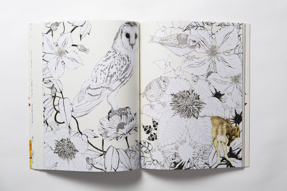 Birdtopia: A beautifully illustrated colouring book by the talented ...