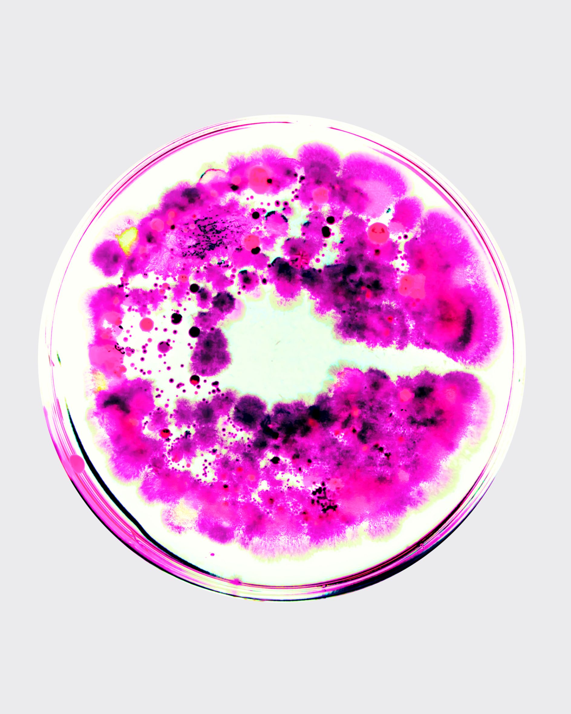 Crucible unveils lab-grown identity by Madalena Studio | Creative Boom