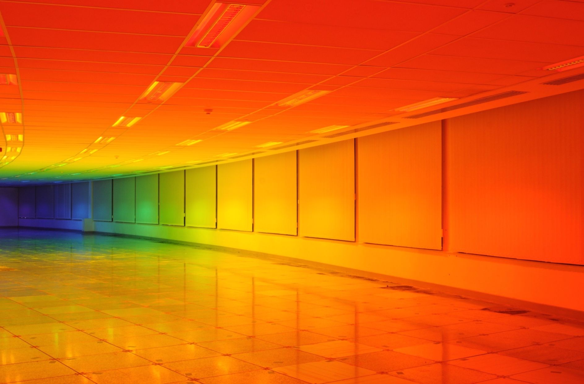 Artist Liz West shows you what it feels like to be inside a rainbow ...