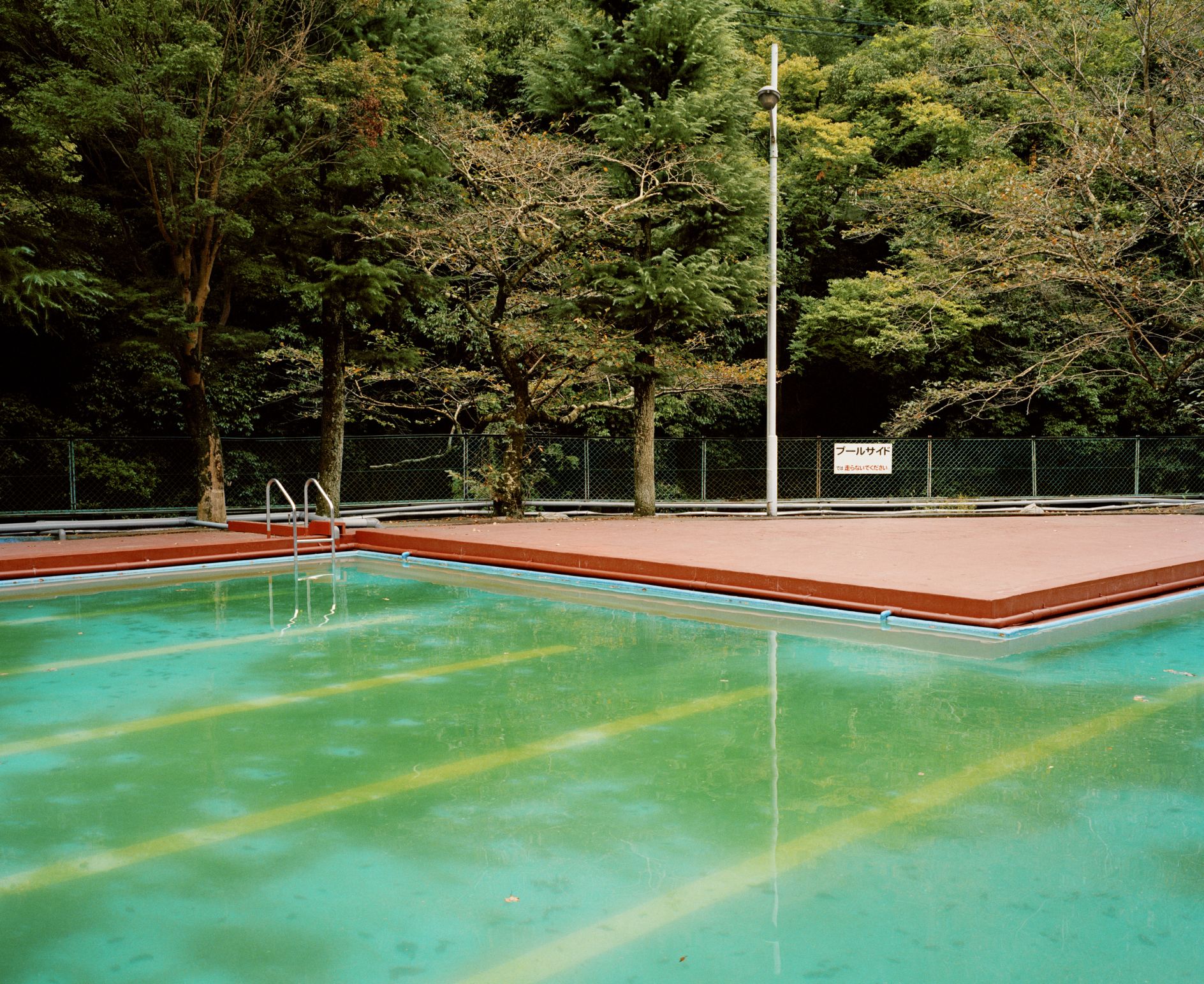Super Extra Natural: Emily Shur chronicles 12 years of travel in Japan ...