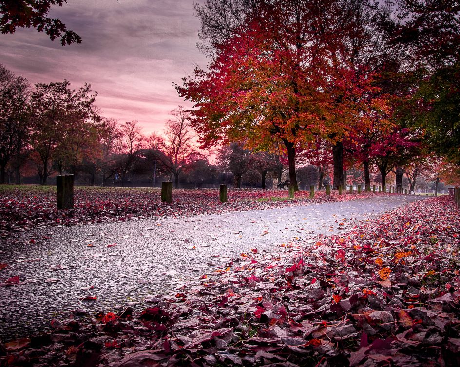 Chaos and Calm: Spectacular images that show two vastly different sides ...