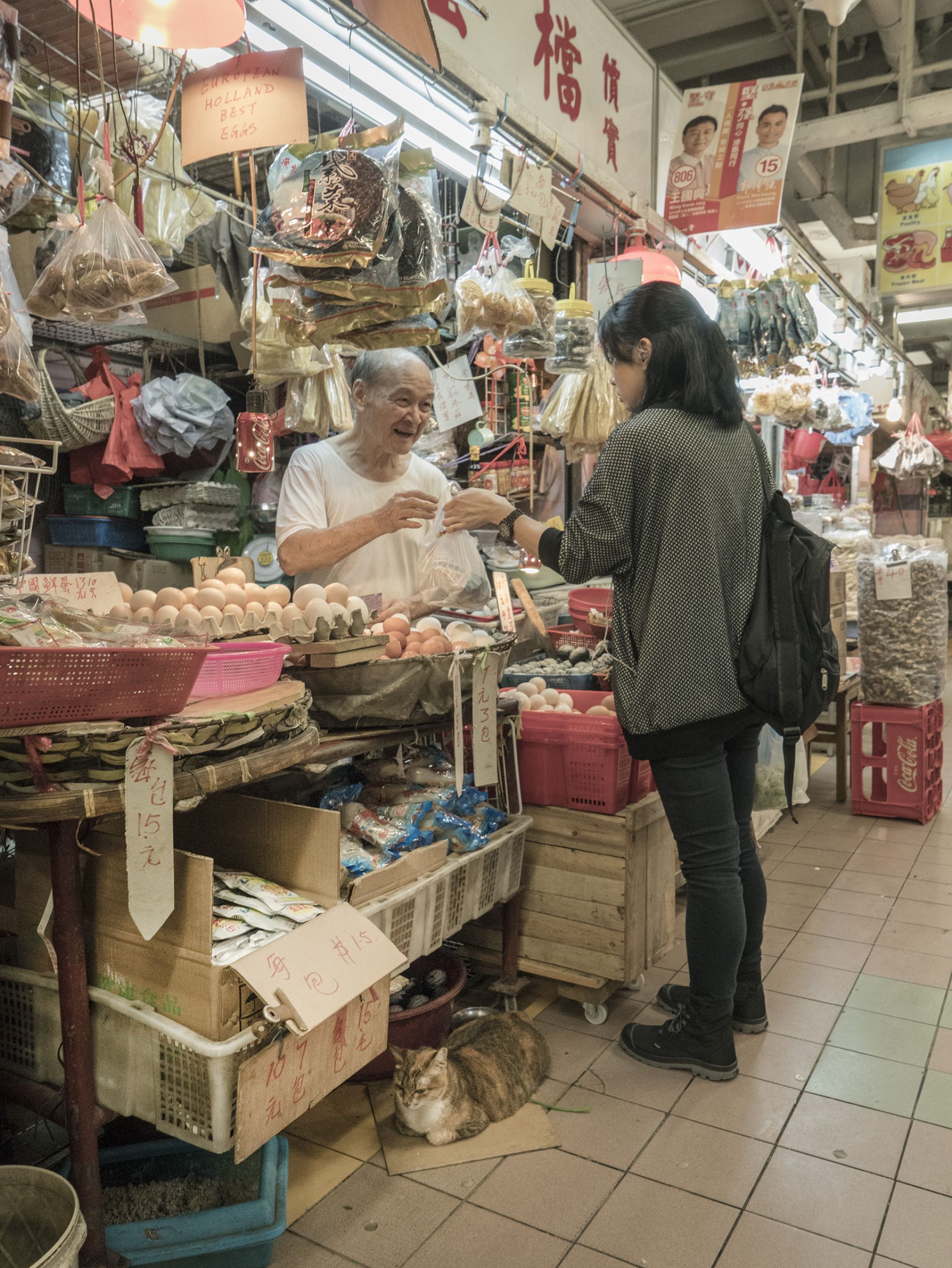 Photographer reveals the secret lives of Hong Kong's market cats in ...