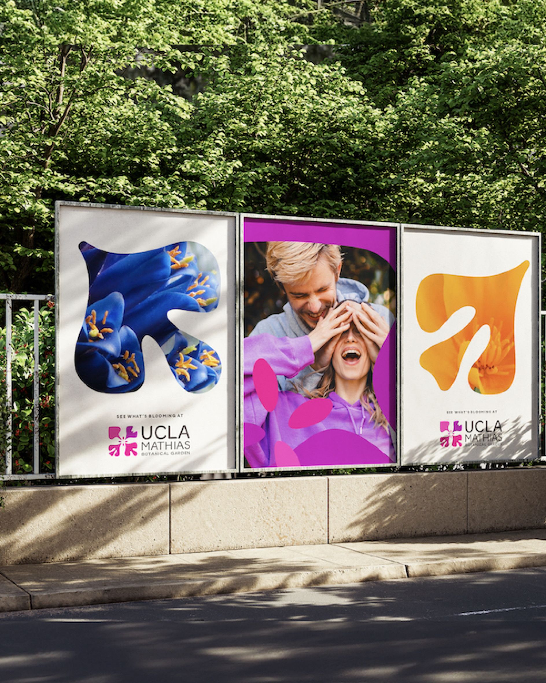 Native California flower informs UCLA Mathias Botanical Garden identity ...