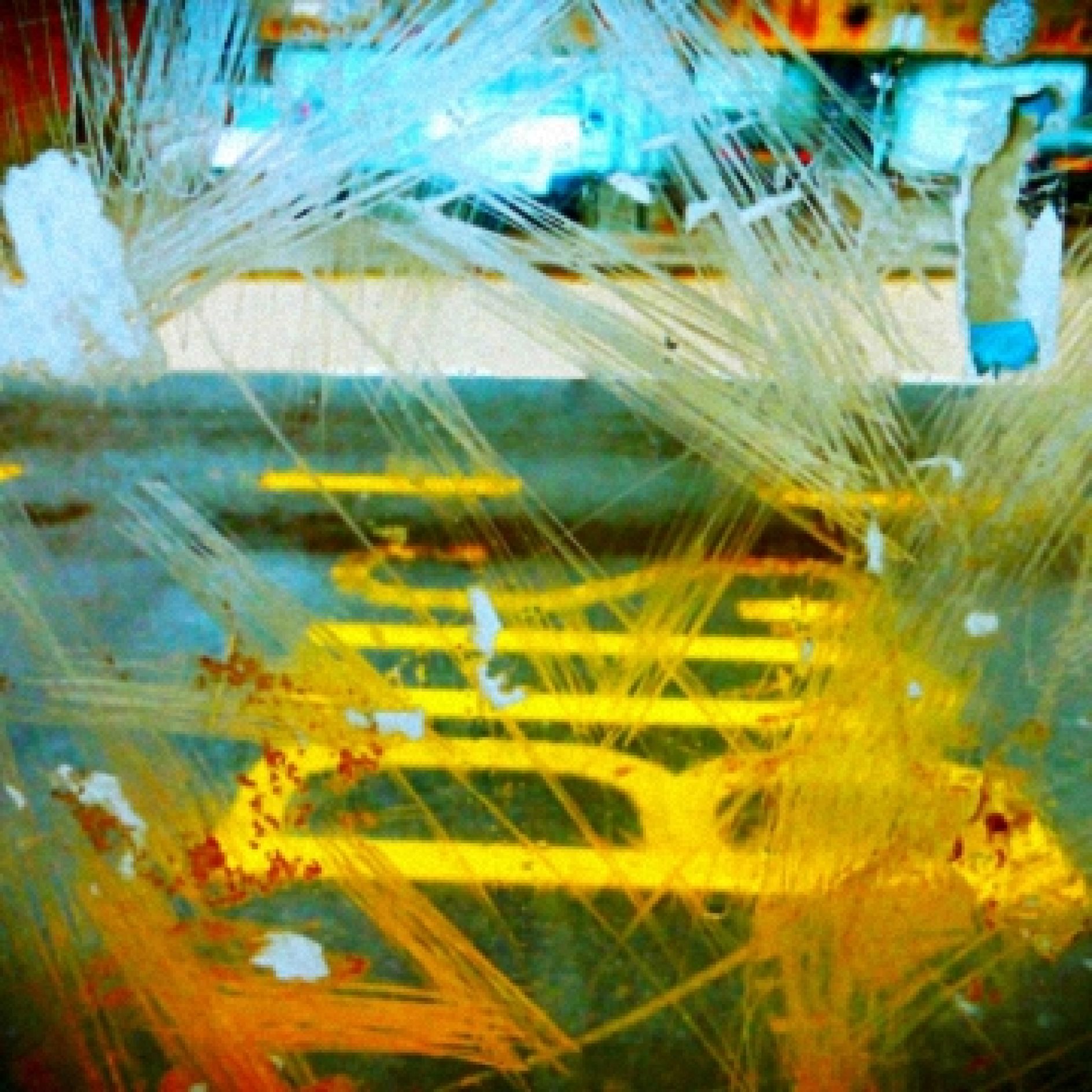 Bus Stop: Unique street photography that uses graffitied bus shelters ...