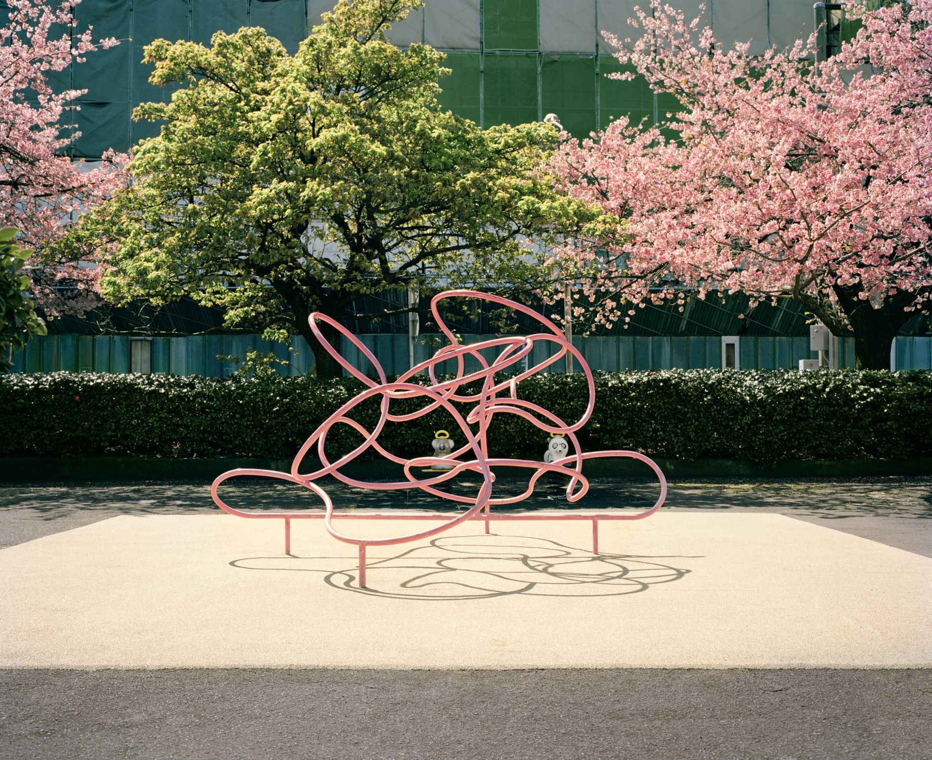 Super Extra Natural: Emily Shur chronicles 12 years of travel in Japan ...