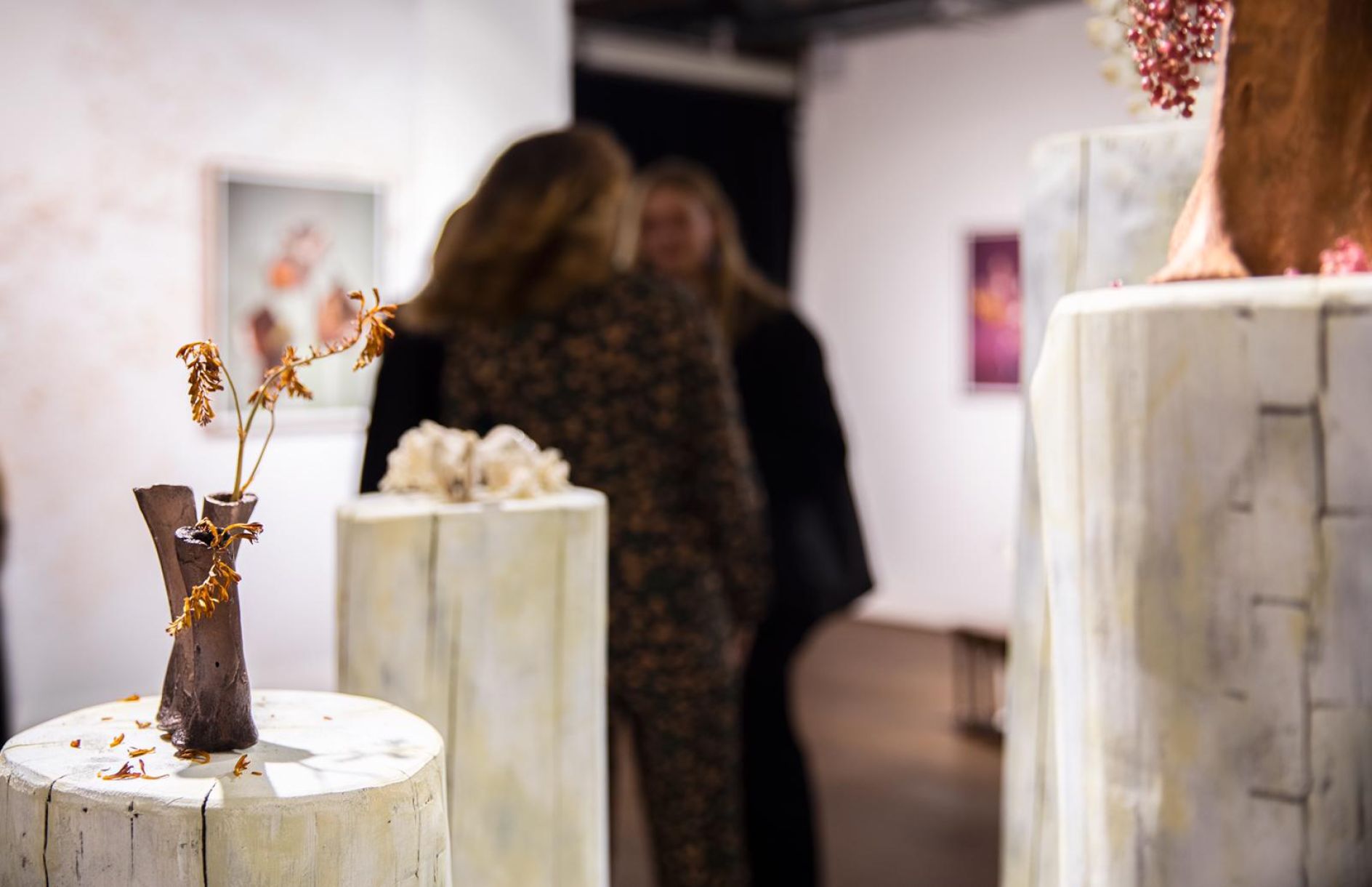Emma Witter on why she turns discarded animal bones into intricate ...