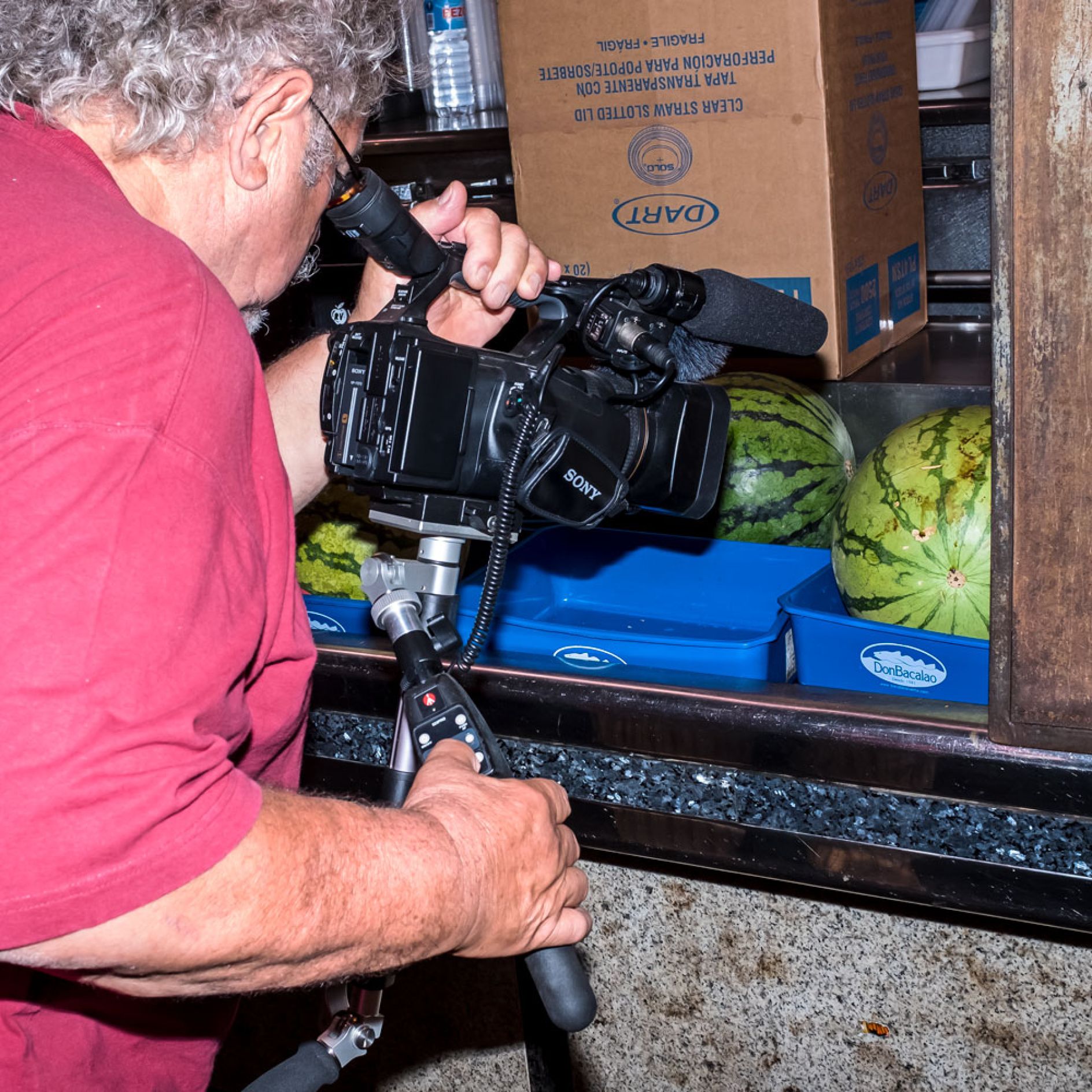 Bored Tourists: a colourful, ironic look at tourists on holiday ...