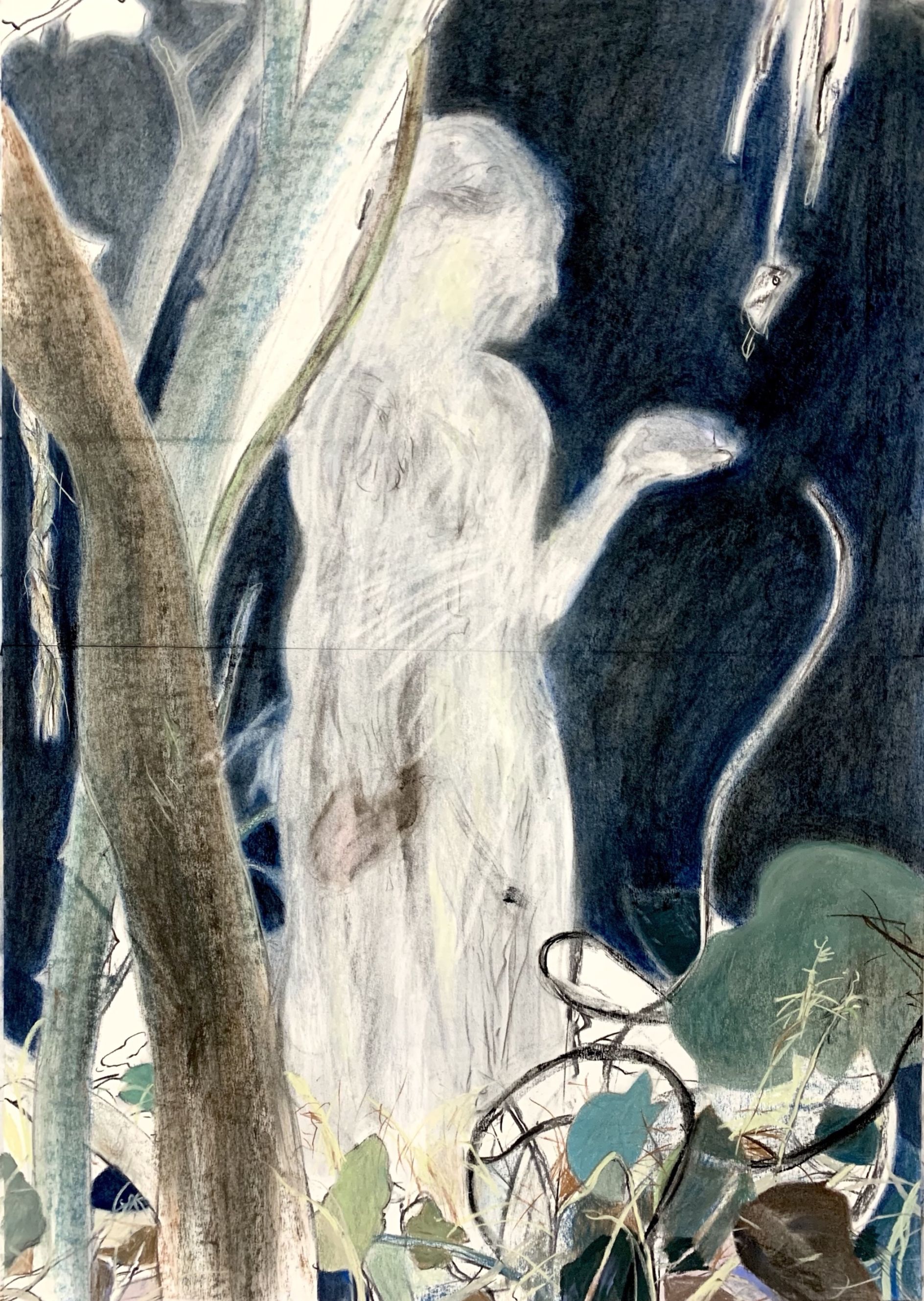 CiCi Suen's beautiful, textured drawings explore the hidden universe of ...