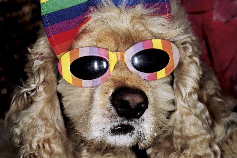 A chance to colour in Martin Parr's iconic photography | Creative Boom